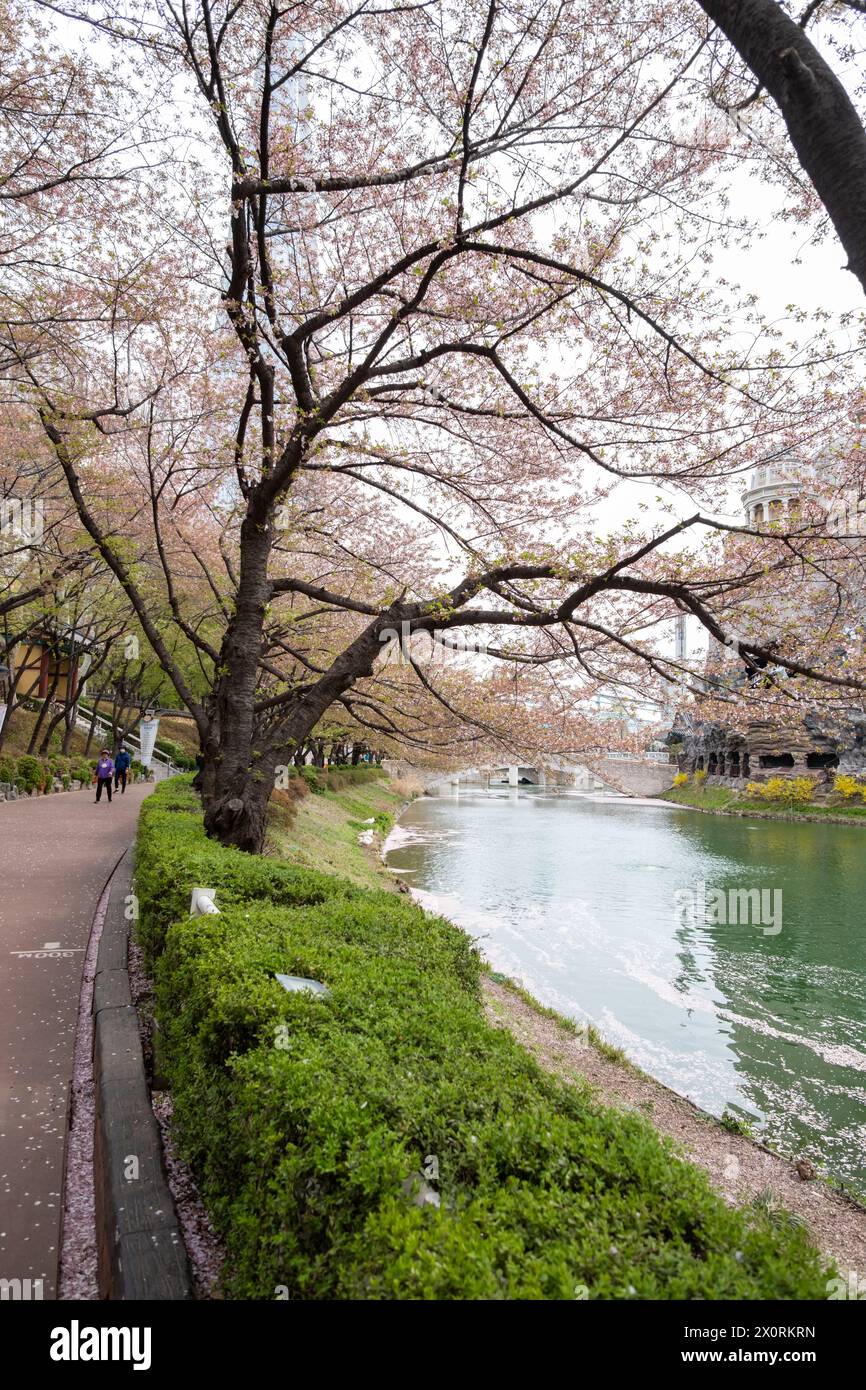 Seoul, South Korea - 4 April 2023: View of Seokchon Lake Park. It is ...
