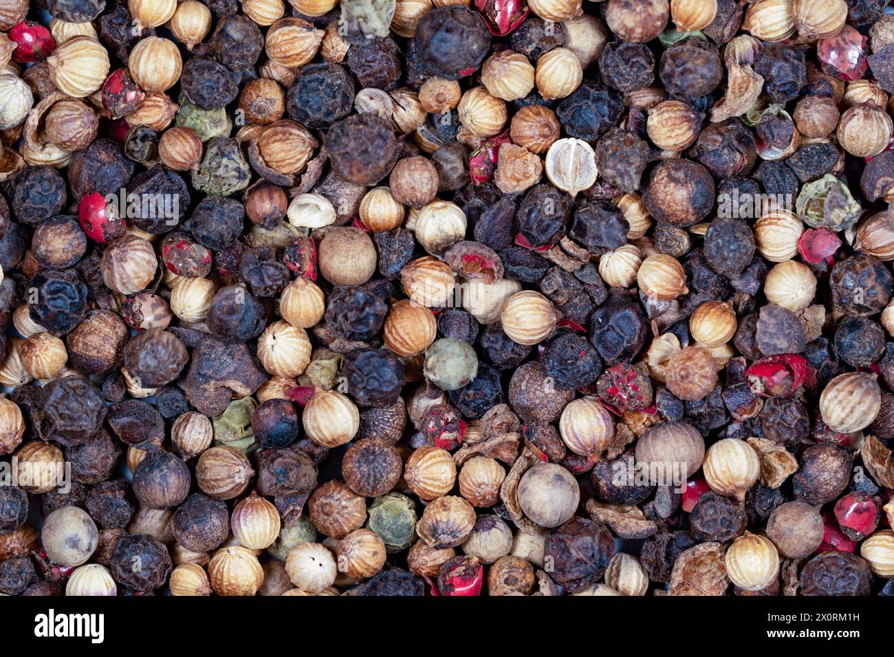 Set of peppercorns of different species and colors arranged in a ...