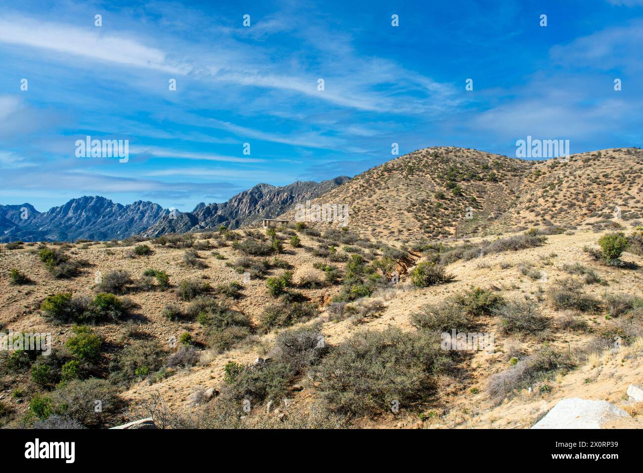 Organ mountains hi-res stock photography and images - Alamy