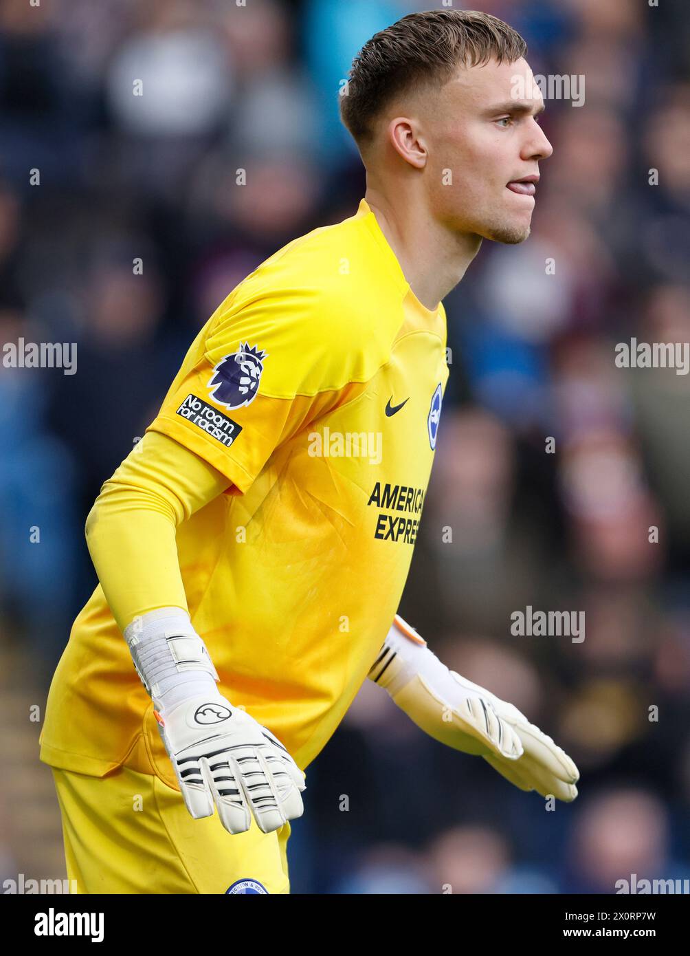 Brighton and Hove Albion goalkeeper Bart Verbruggen during the Premier ...
