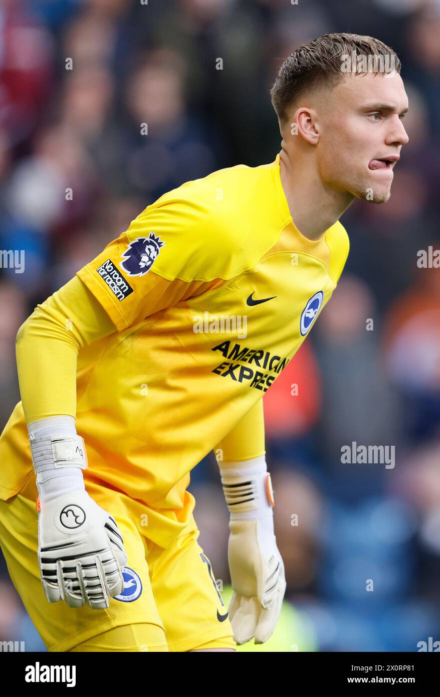 Bart verbruggen hi-res stock photography and images - Alamy