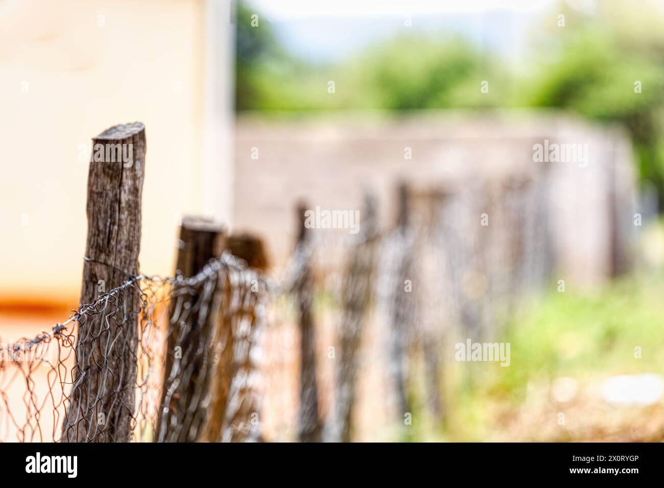 fence with mesh wire and wooden poles farm in africa Stock Photo - Alamy