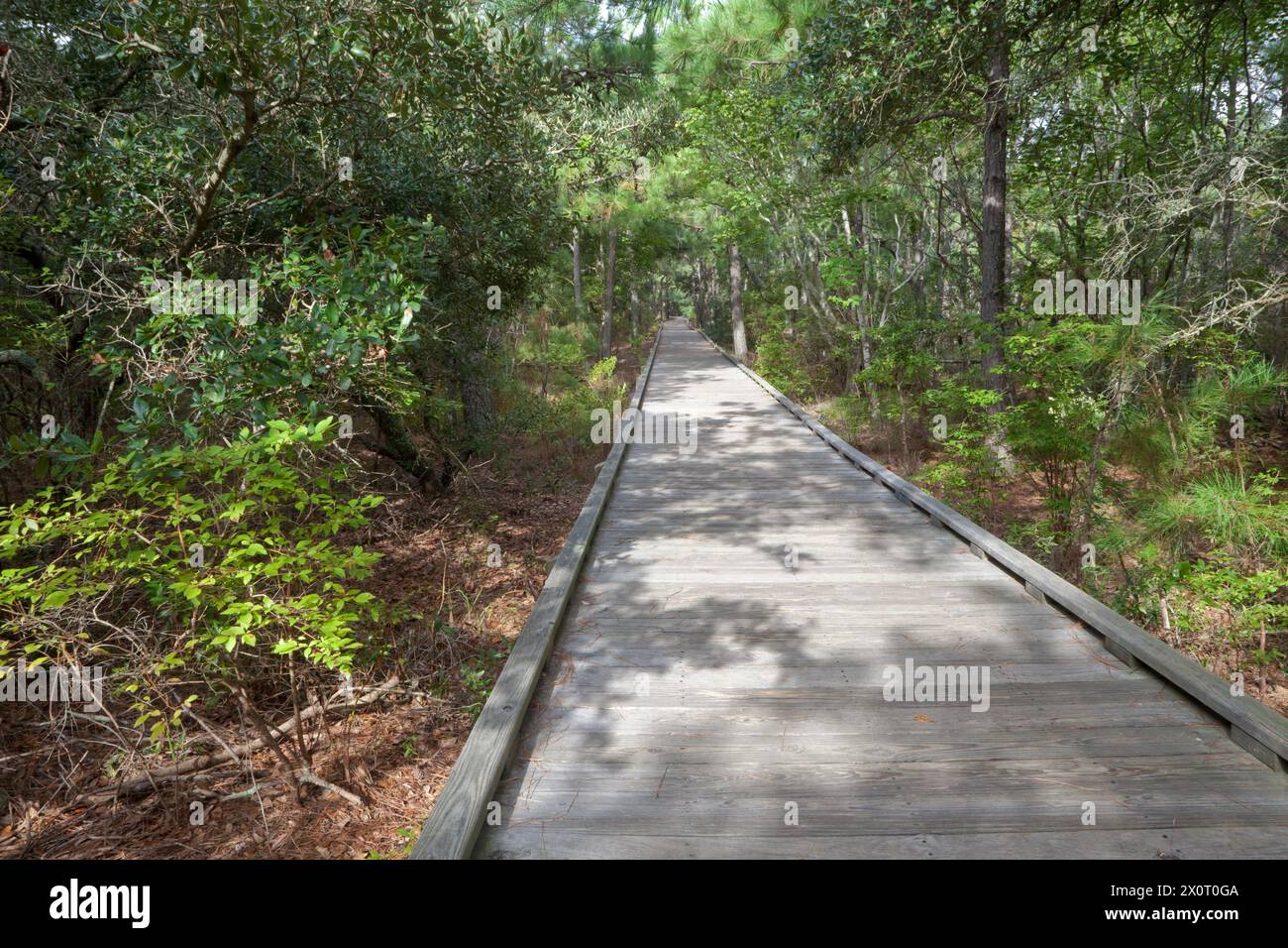 Outer bank trail hi-res stock photography and images - Alamy