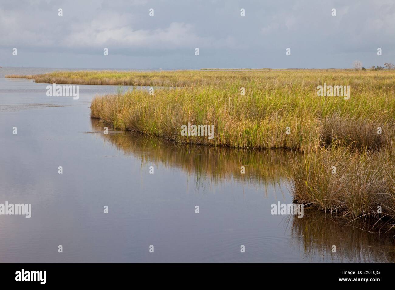North Carolina Outer Banks, Currituck Sound Stock Photo - Alamy