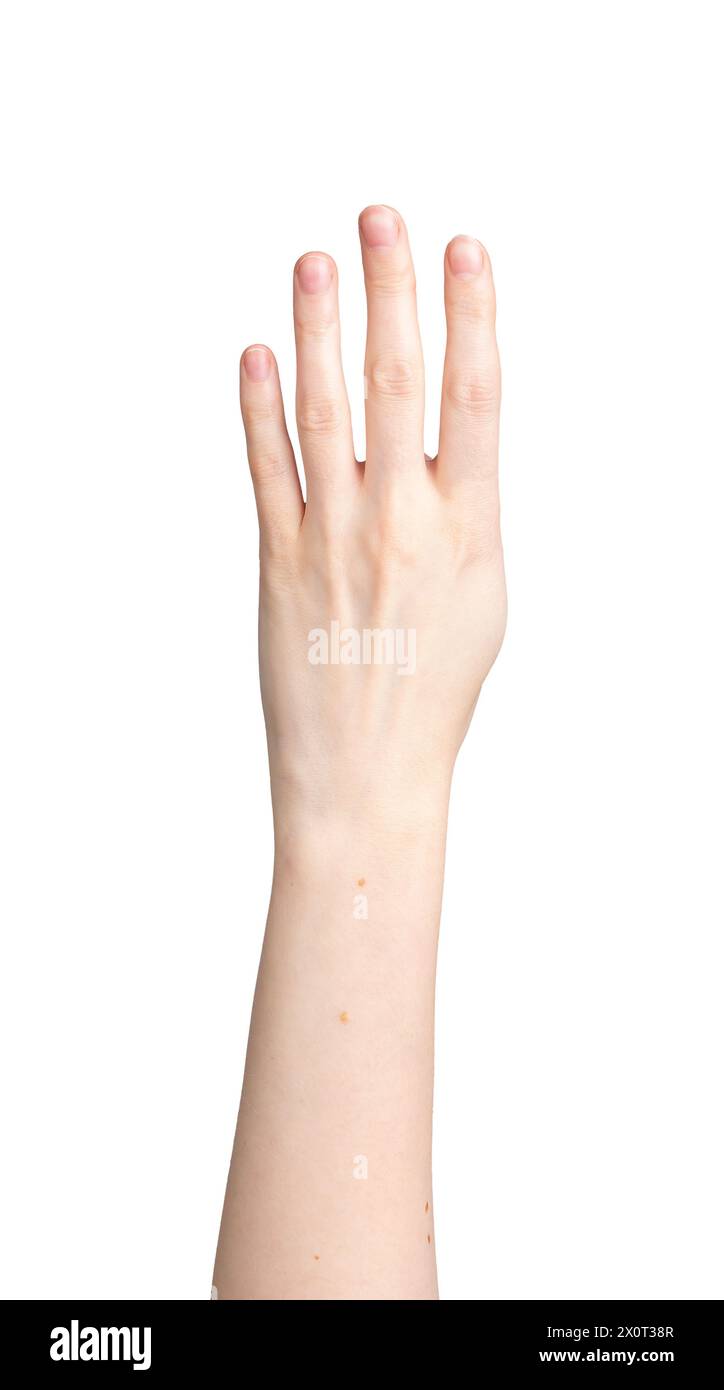 Hand showing 4 fingers up isolated on white background Stock Photo - Alamy