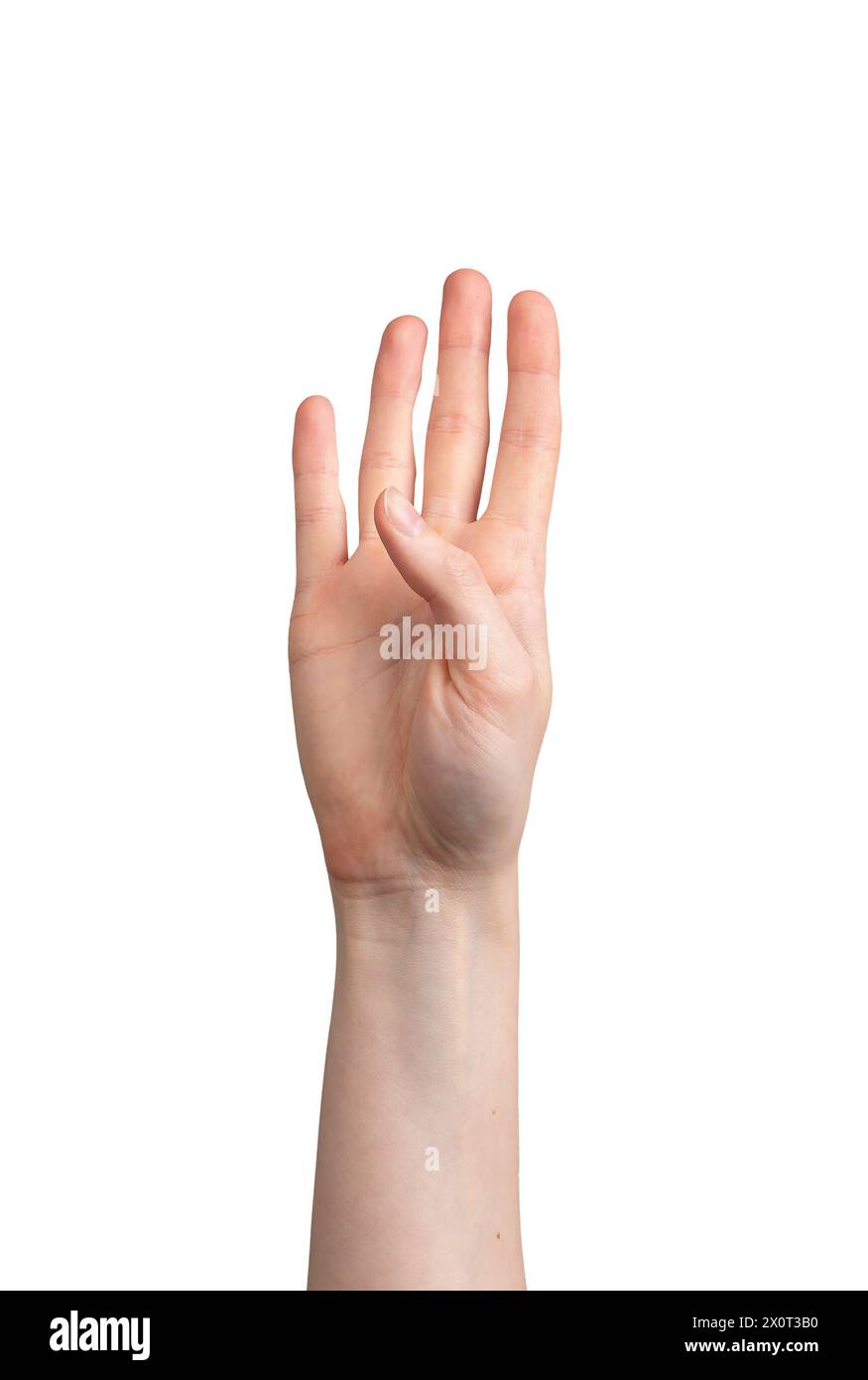 Hand showing 4 fingers up isolated on white background Stock Photo - Alamy