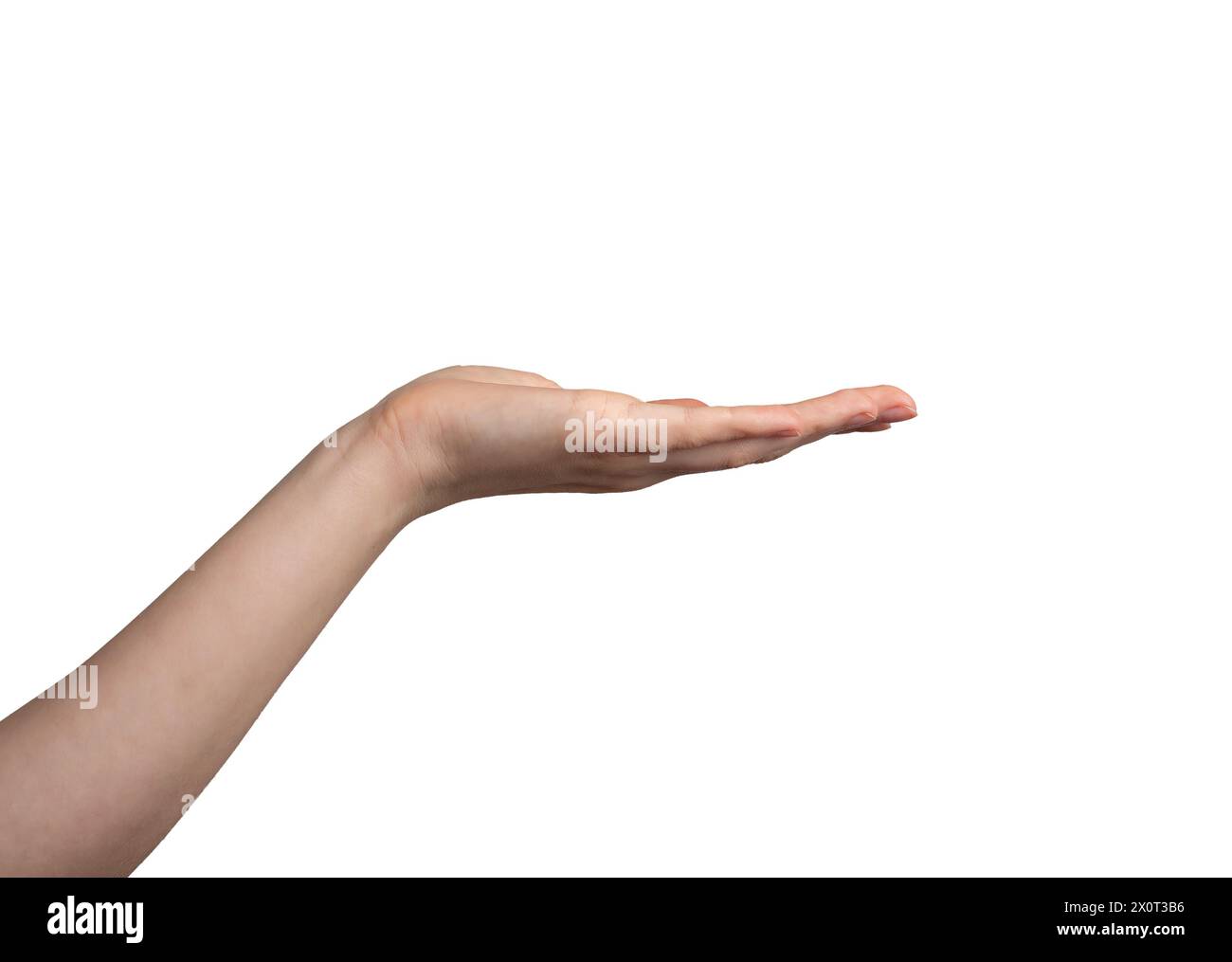 Hand palm stretching out, offering, showing gesture, isolated on white ...