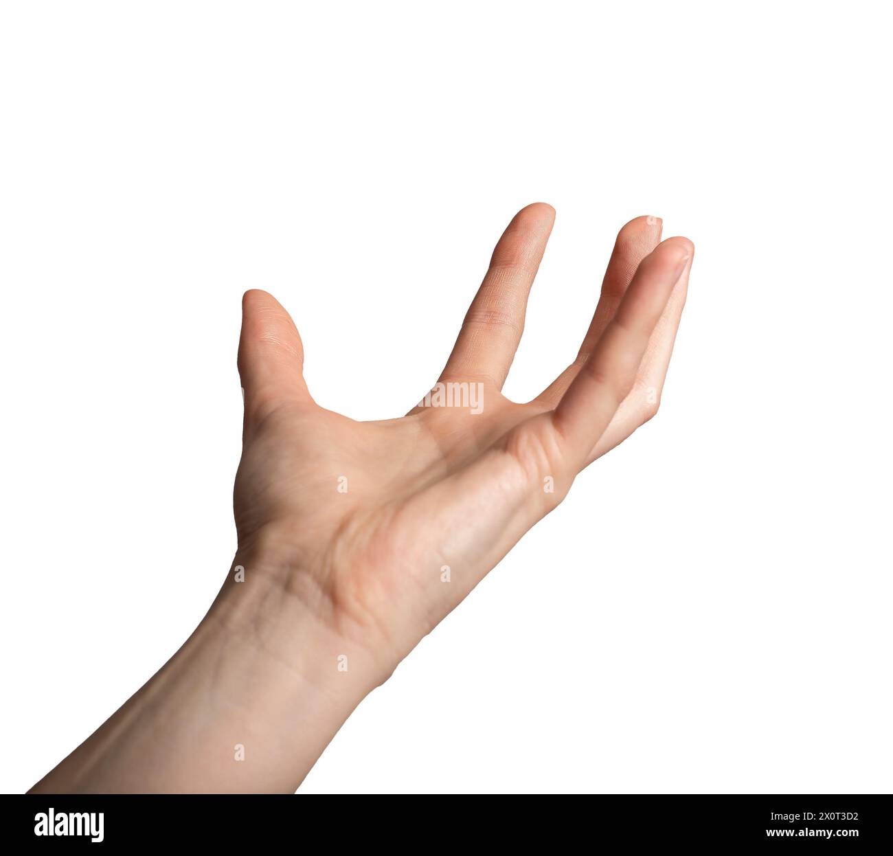 Hand palm holding something big, huge, taking gesture, isolated on ...