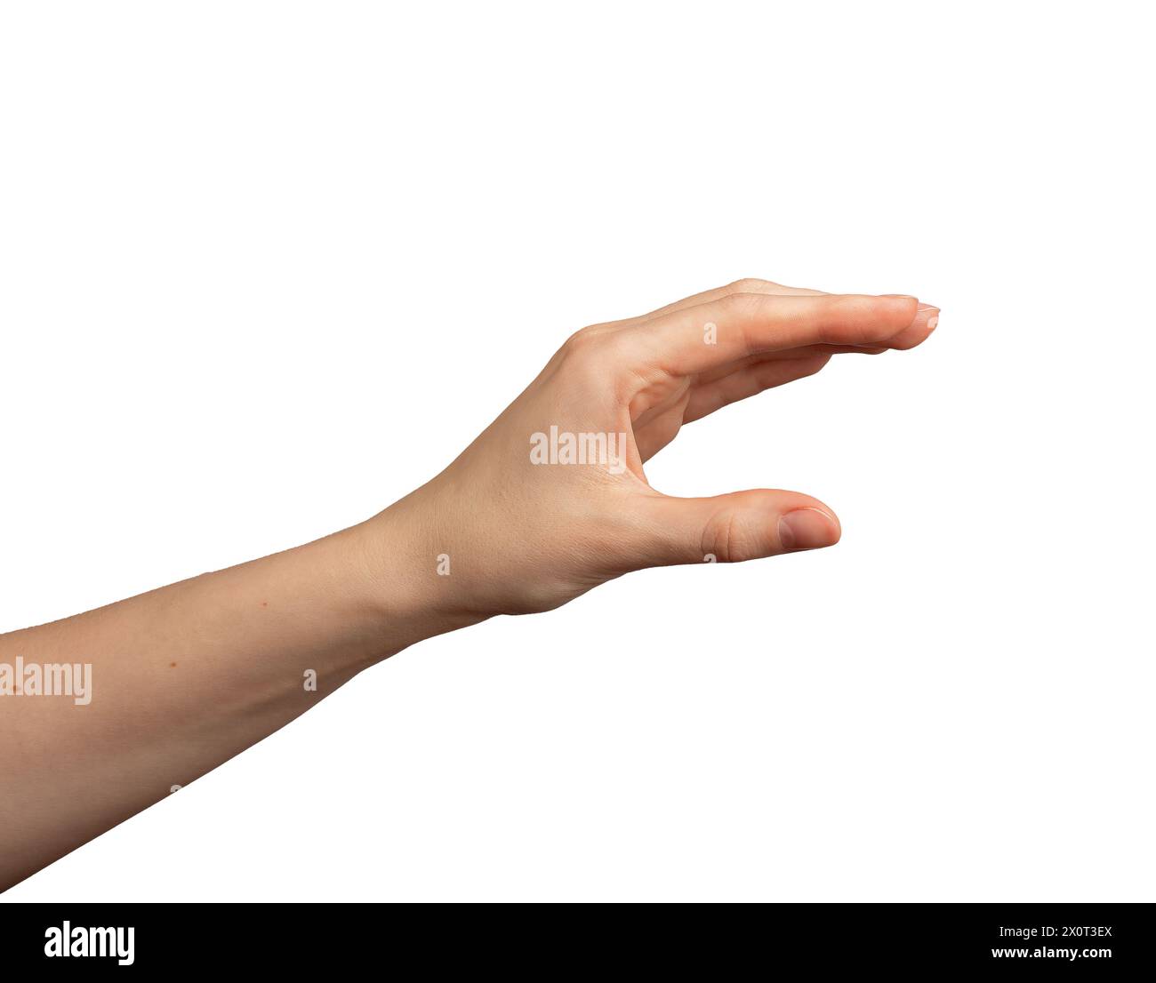 Hand taking, holding something medium, showing gesture, isolated on ...