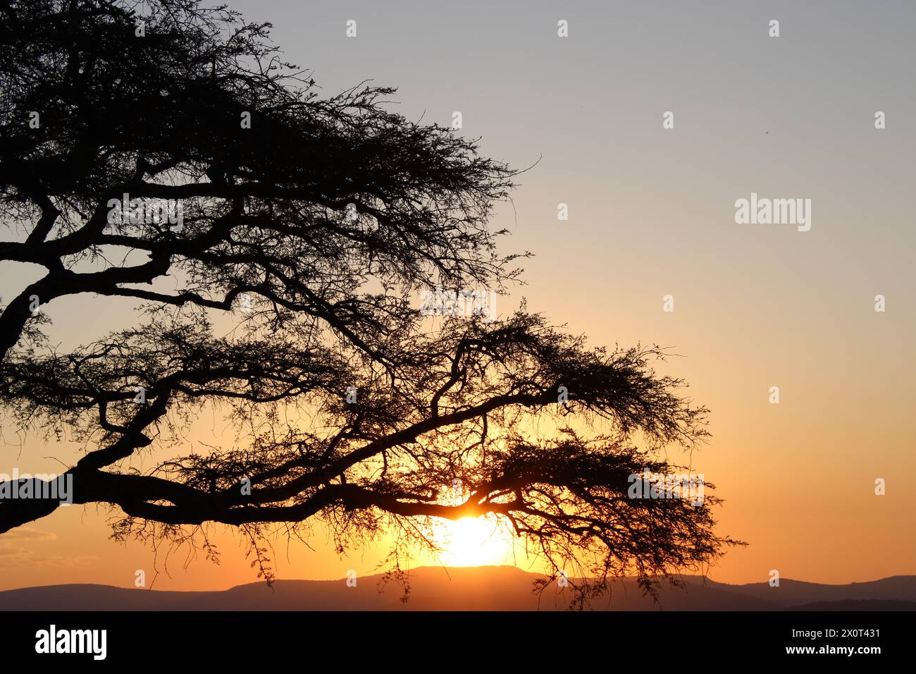 Beautiful African Sunsets sky taken in the Lowveld Mpumalanga. Golden ...