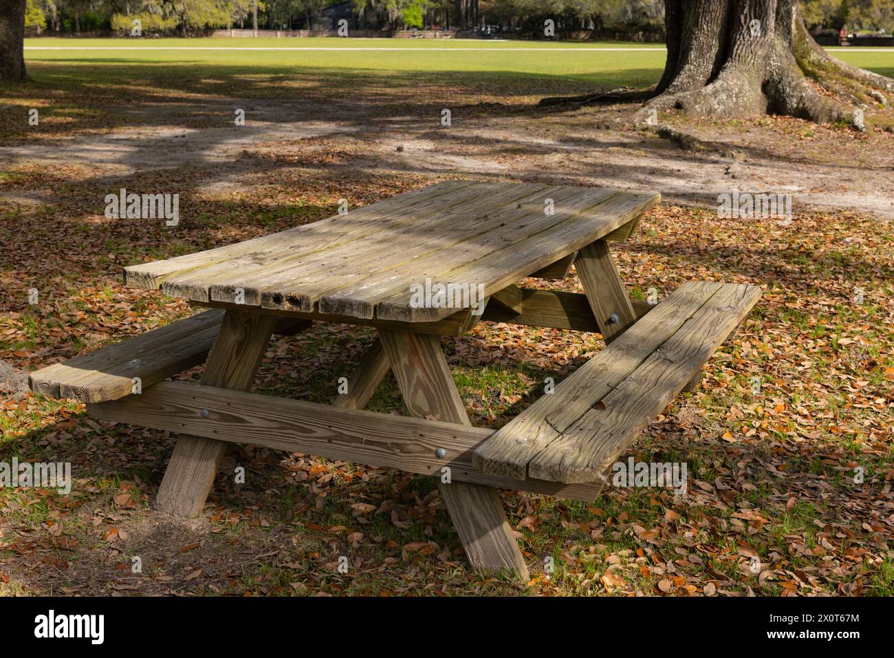 A picnic table nestled within the landscape of Middleton Place ...