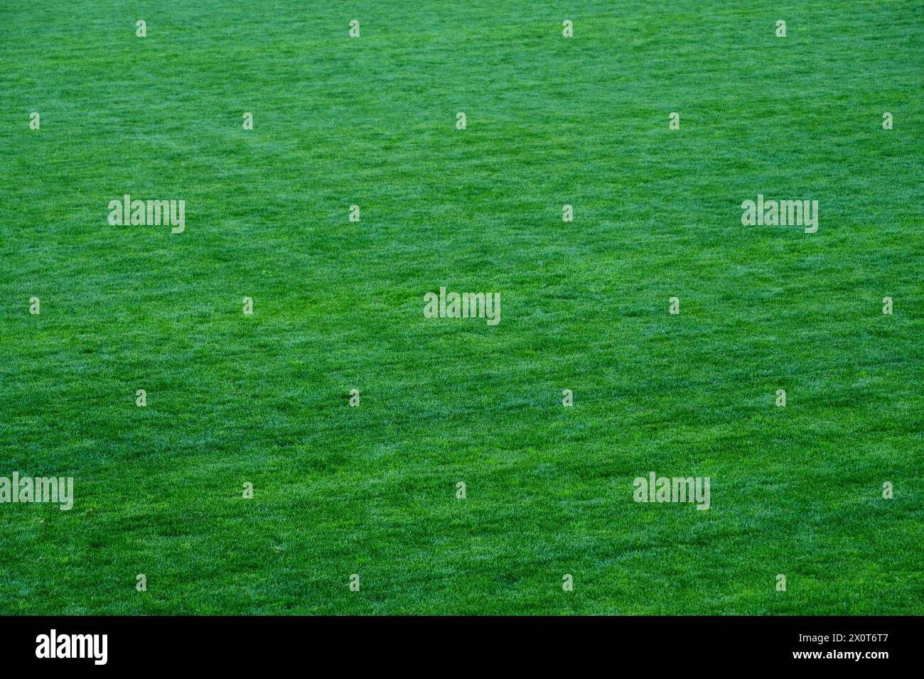 Sports field covered with fresh green grass Stock Photo - Alamy