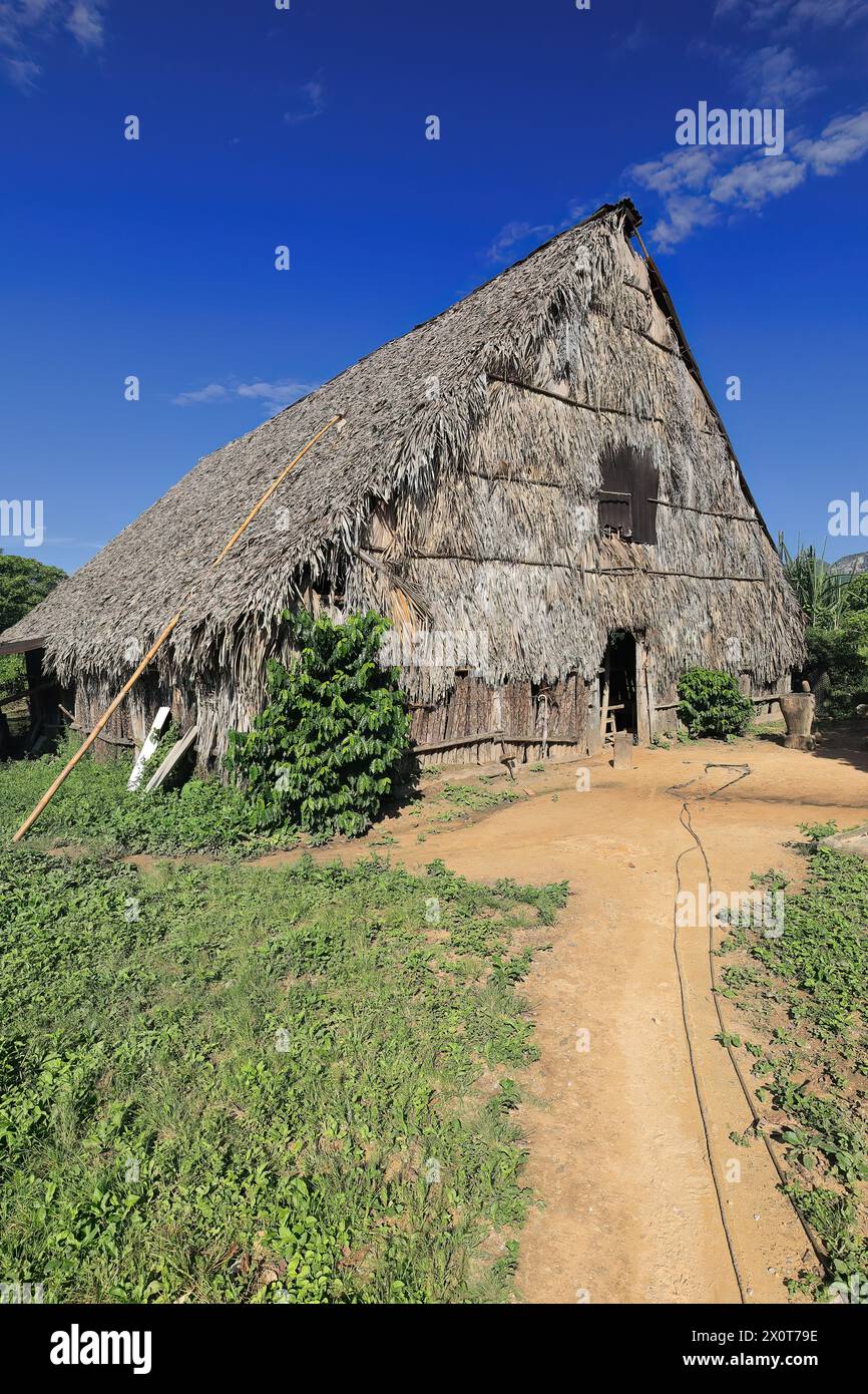 Hunter gatherers hi-res stock photography and images - Alamy