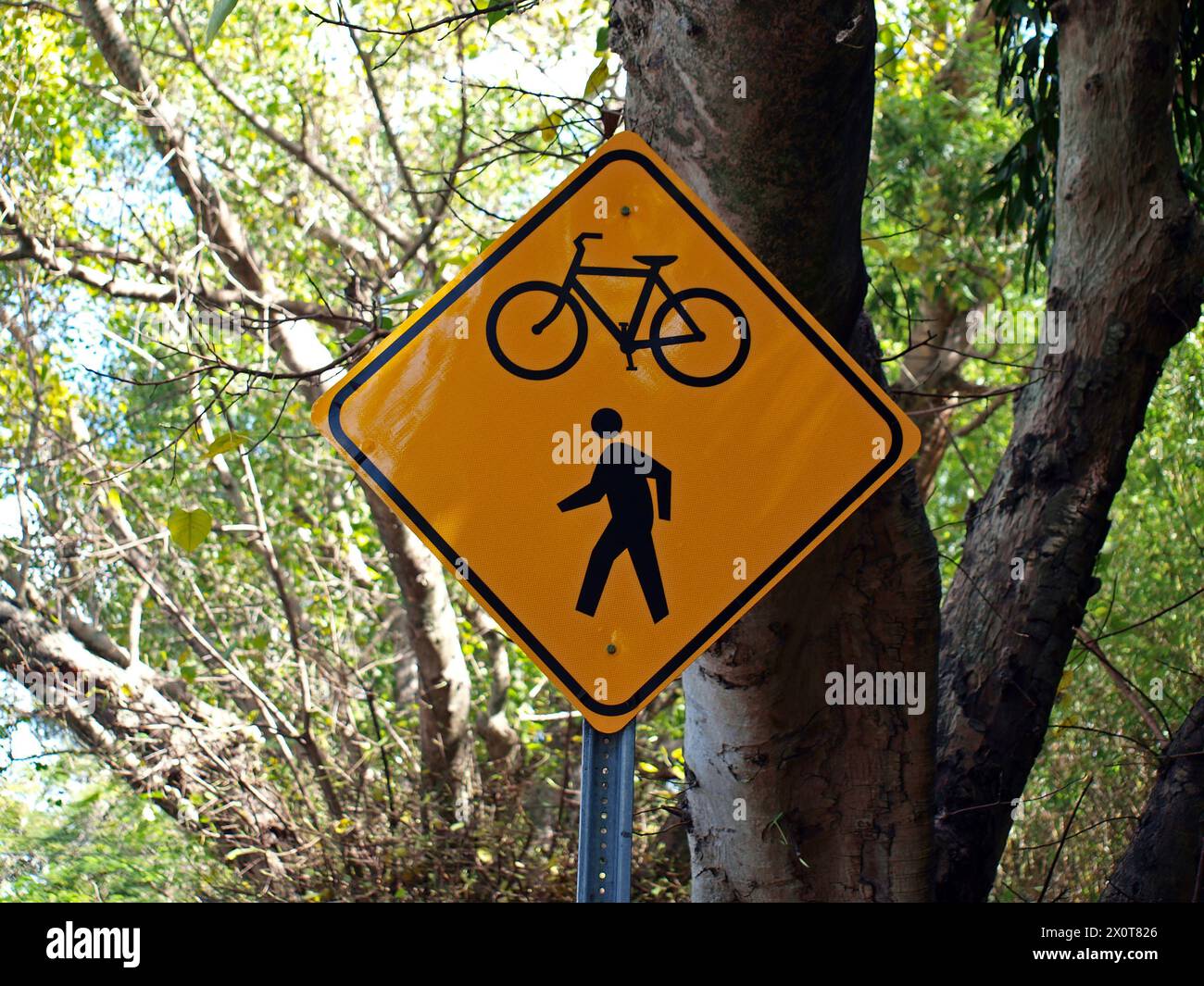 2024 yellow hi-res stock photography and images - Alamy