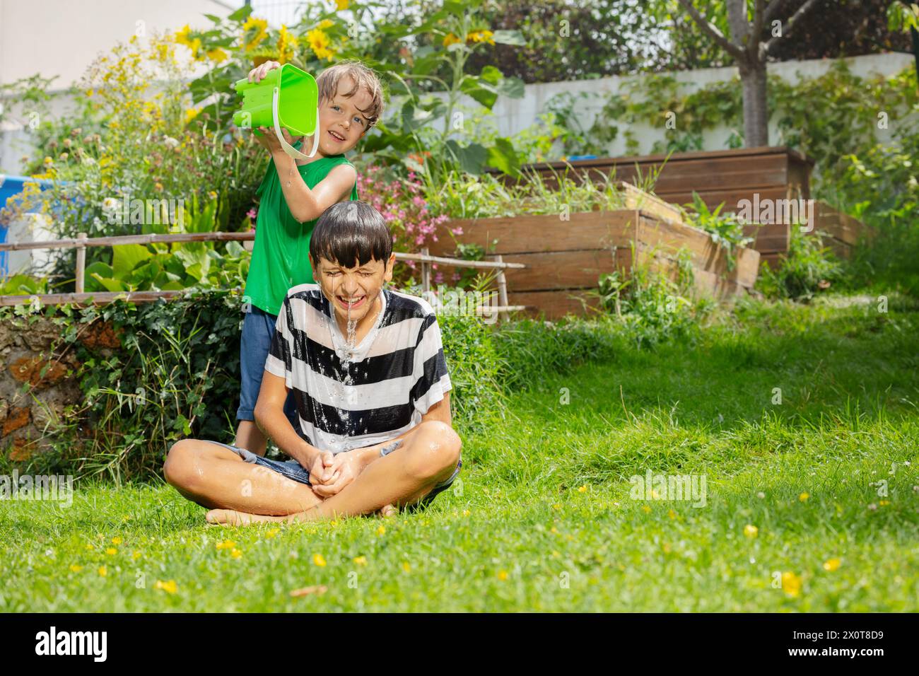 Boy in green shirt spill water over his brother who sit on grass Stock ...