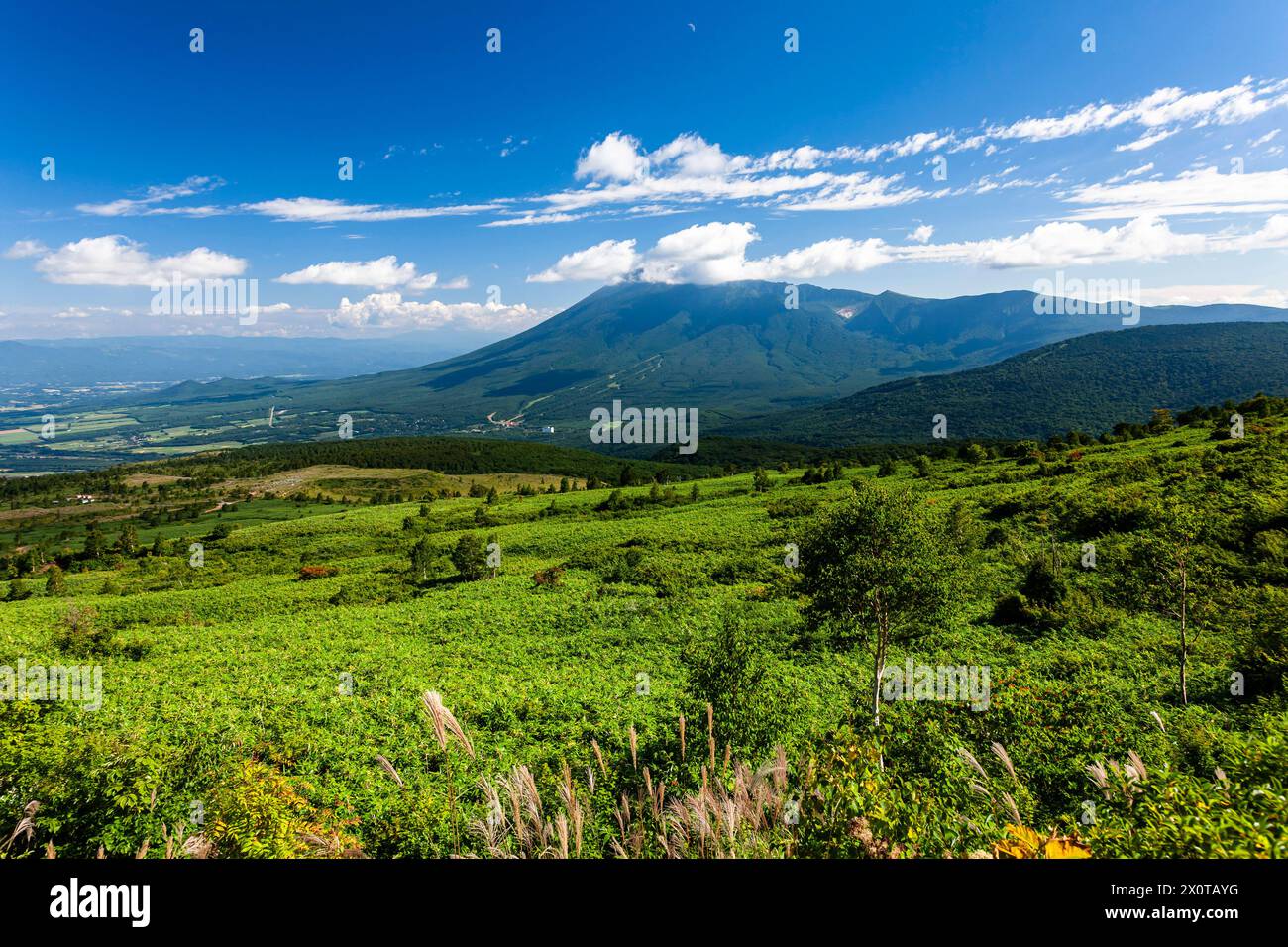 Mount Iwate(Iwatesan), 2038m, view from Mount Hachimantai, Hachimantai ...
