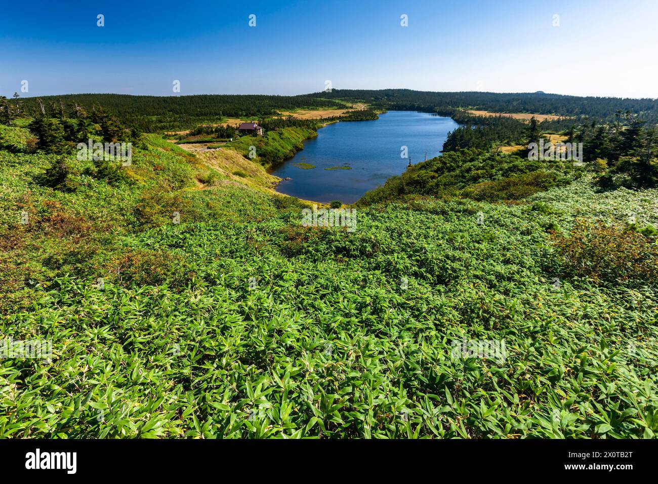 Mount Hachimantai, Hachiman numa lake(pond), morning, Hachimantai city ...