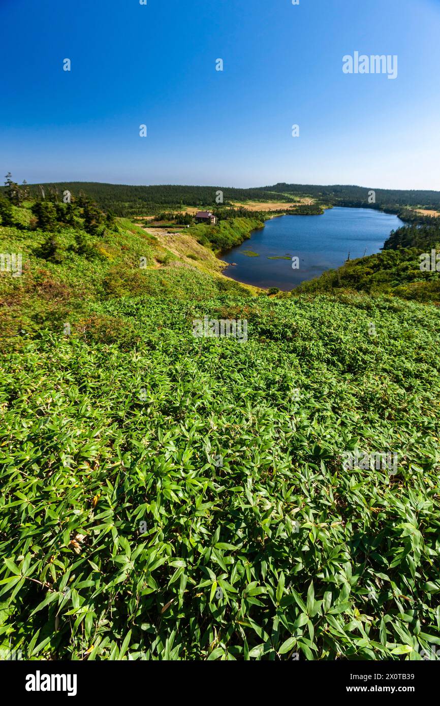 Mount Hachimantai, Hachiman numa lake(pond), morning, Hachimantai city ...