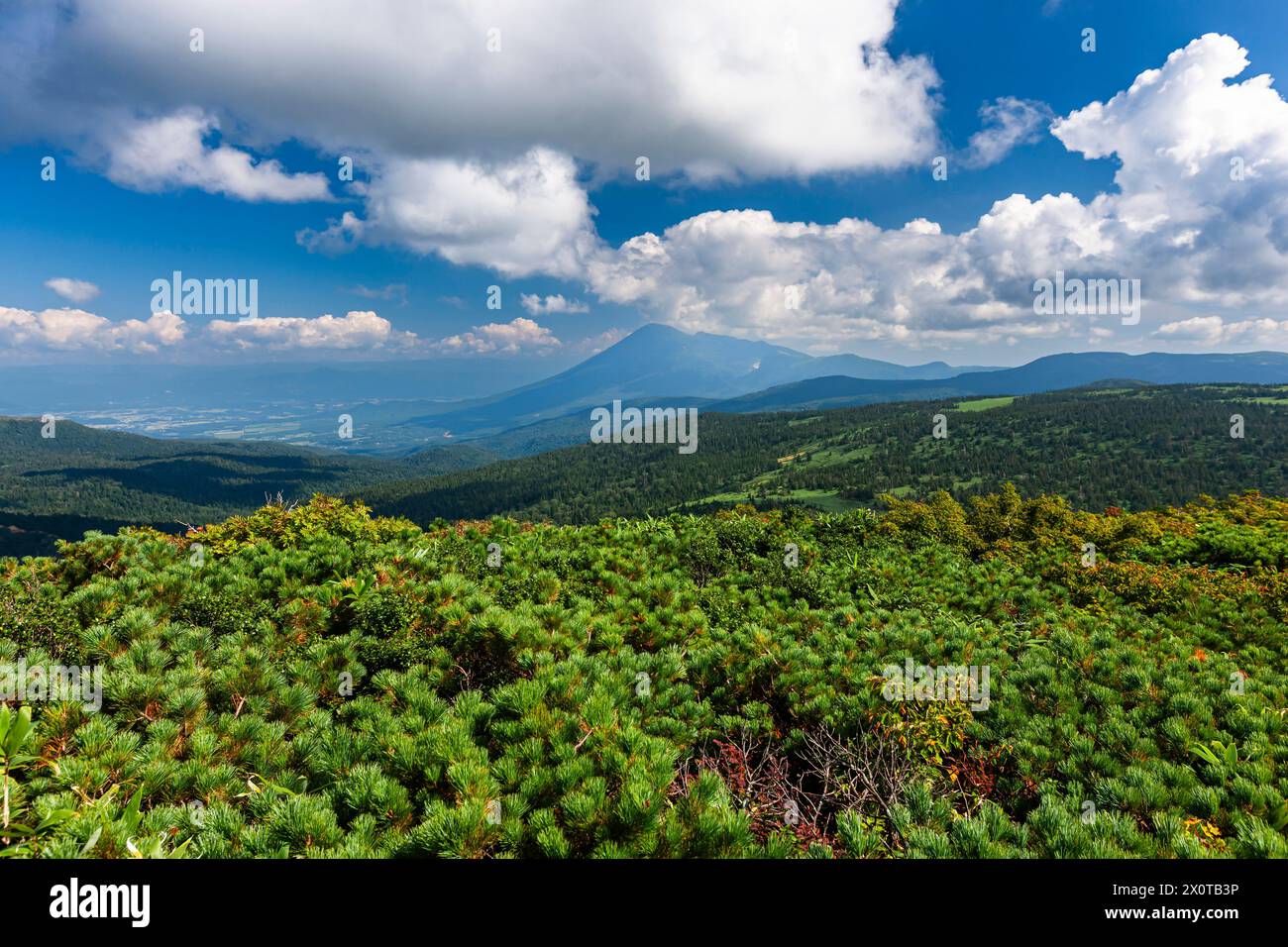 Mount Iwate(Iwatesan), 2038m, view from Mount Hachimantai, Hachimantai ...