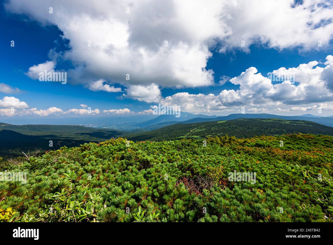 Mount Iwate(Iwatesan), 2038m, view from Mount Hachimantai, Hachimantai ...