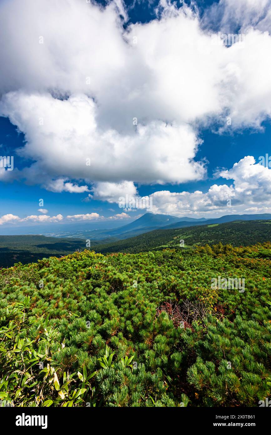 Mount Iwate(Iwatesan), 2038m, view from Mount Hachimantai, Hachimantai ...