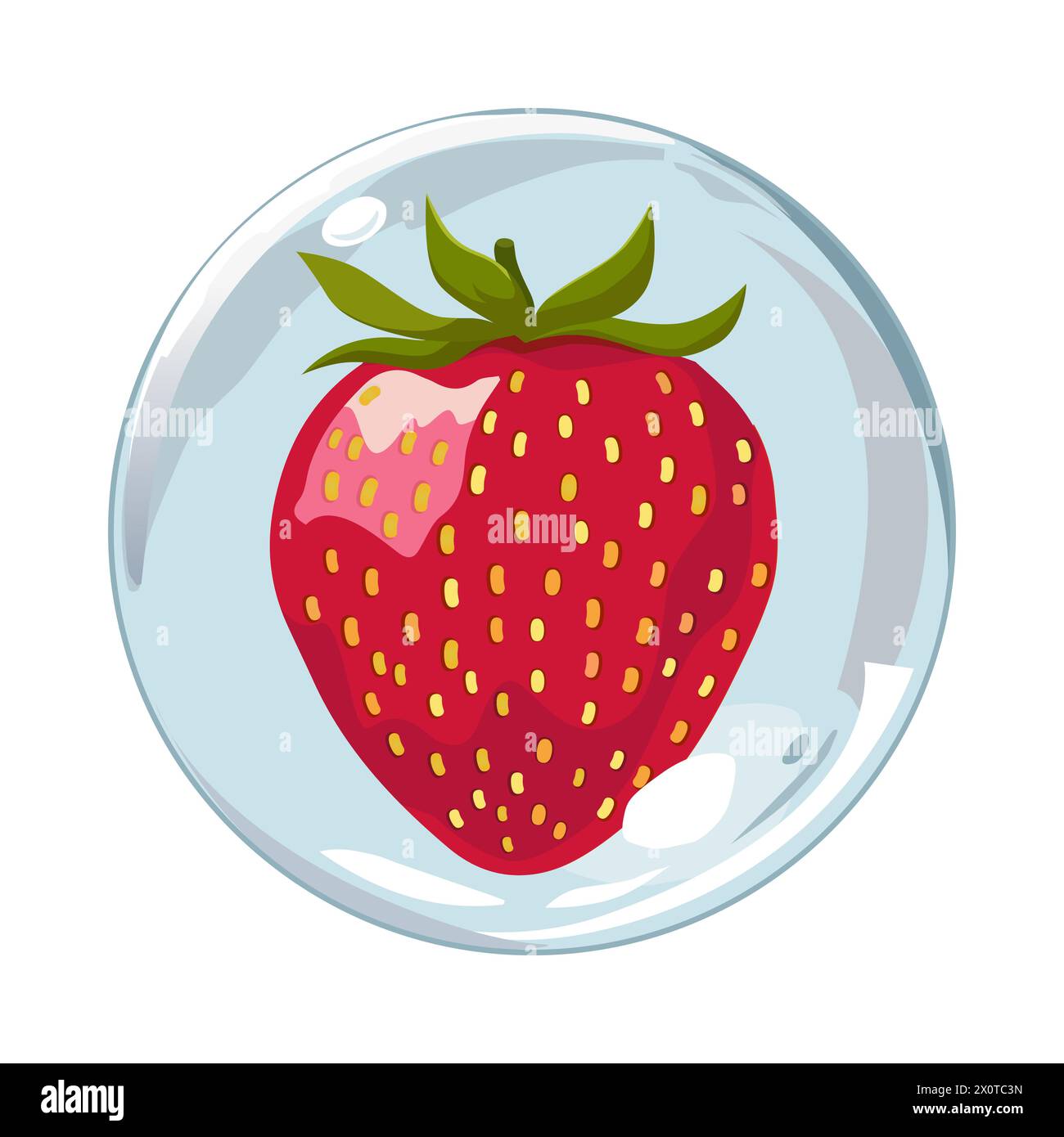 Healthy red strawberry in air bubble. Isolated vector illustration on ...