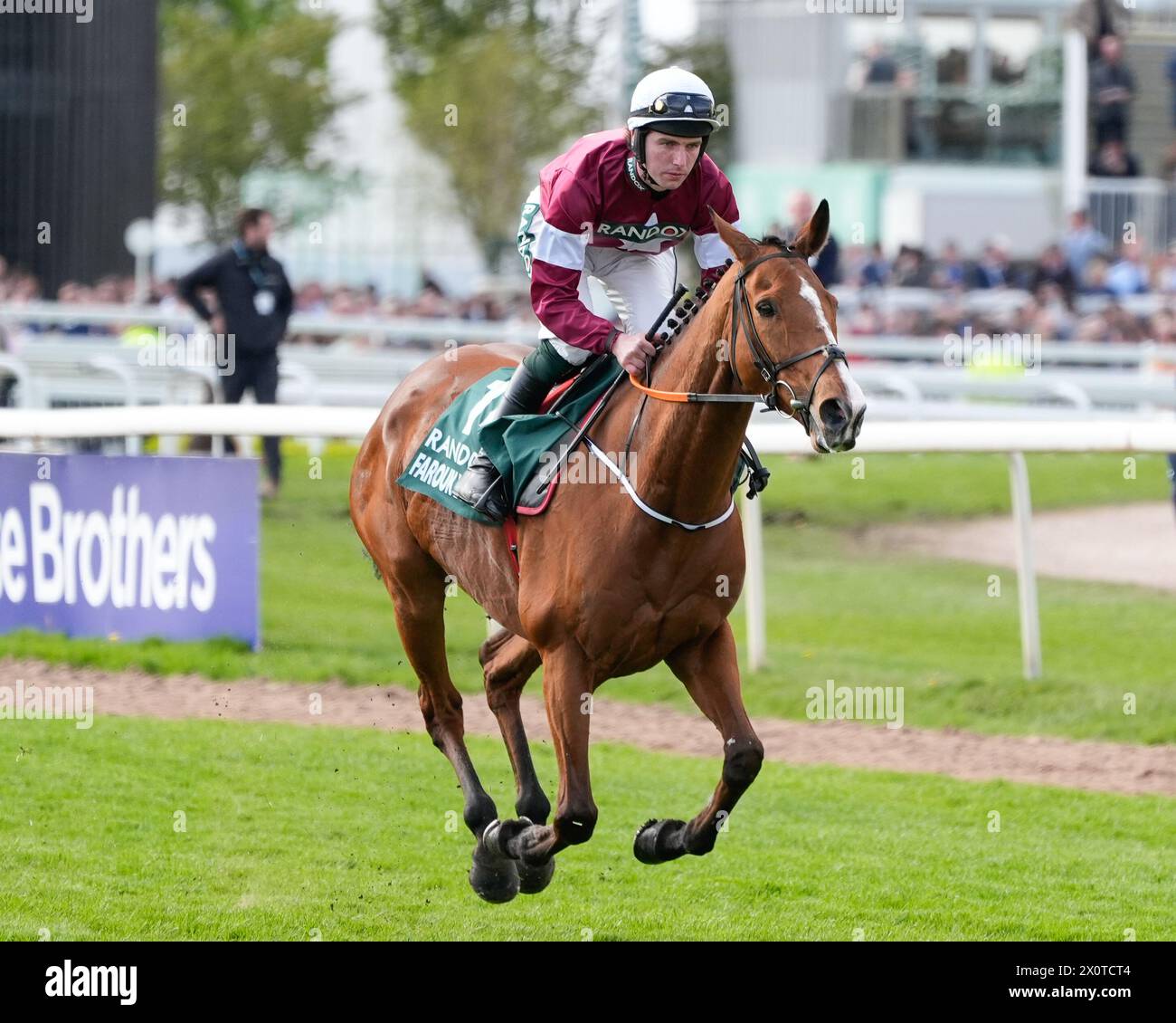 Farouk d'alene horse hi-res stock photography and images - Alamy