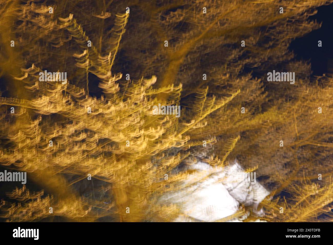 Sendai City, Miyagi Prefecture, Japan, April 10, 2024.Sendai Castle's ...