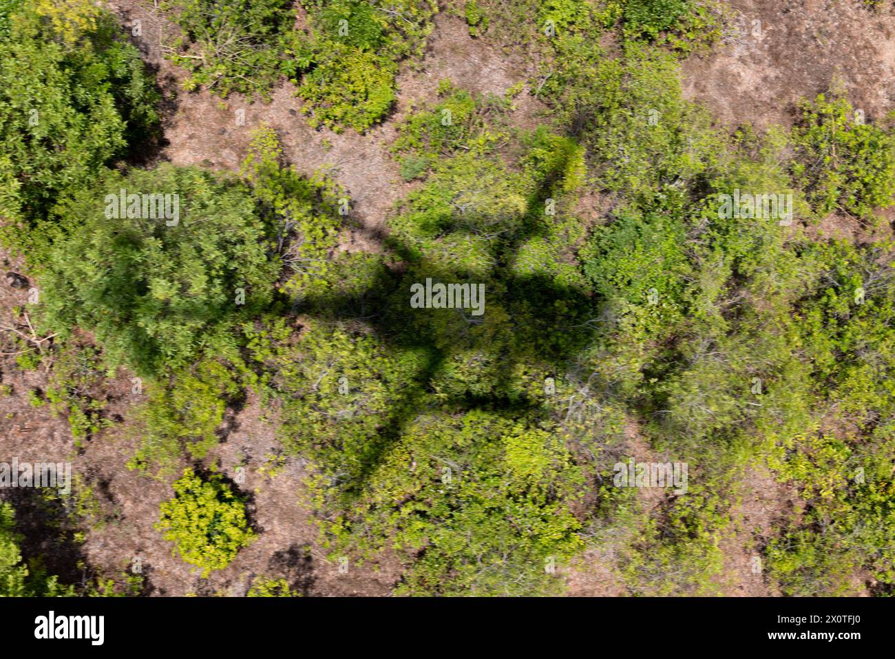U.S. Army aircrews with the 25th Combat Aviation Brigade, 25th Infantry ...