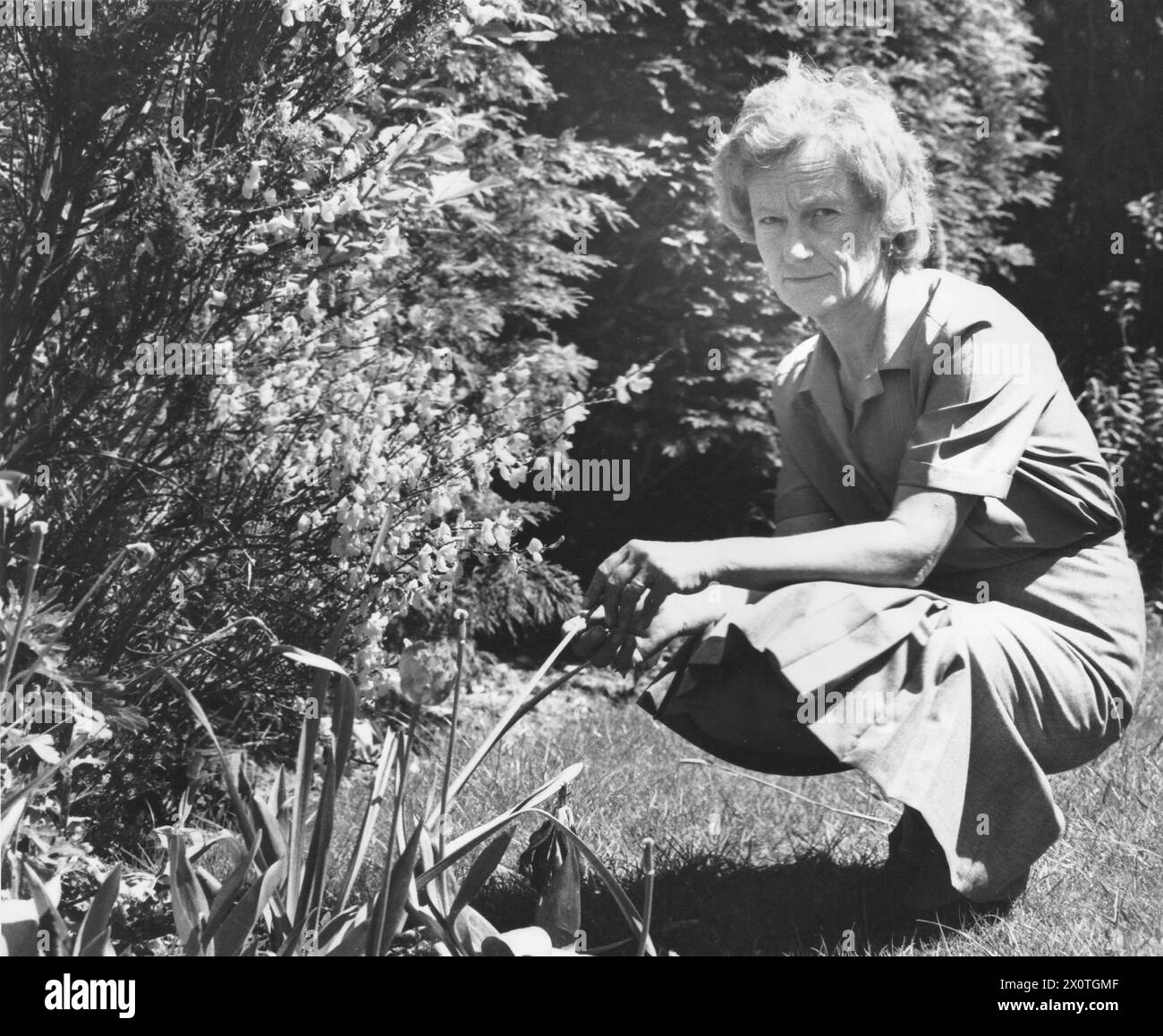 SUSAN ROLLS , WIFE OF TRAIN DRIVER JOHN ROLLS WHO WAS KILLED IN THE ...
