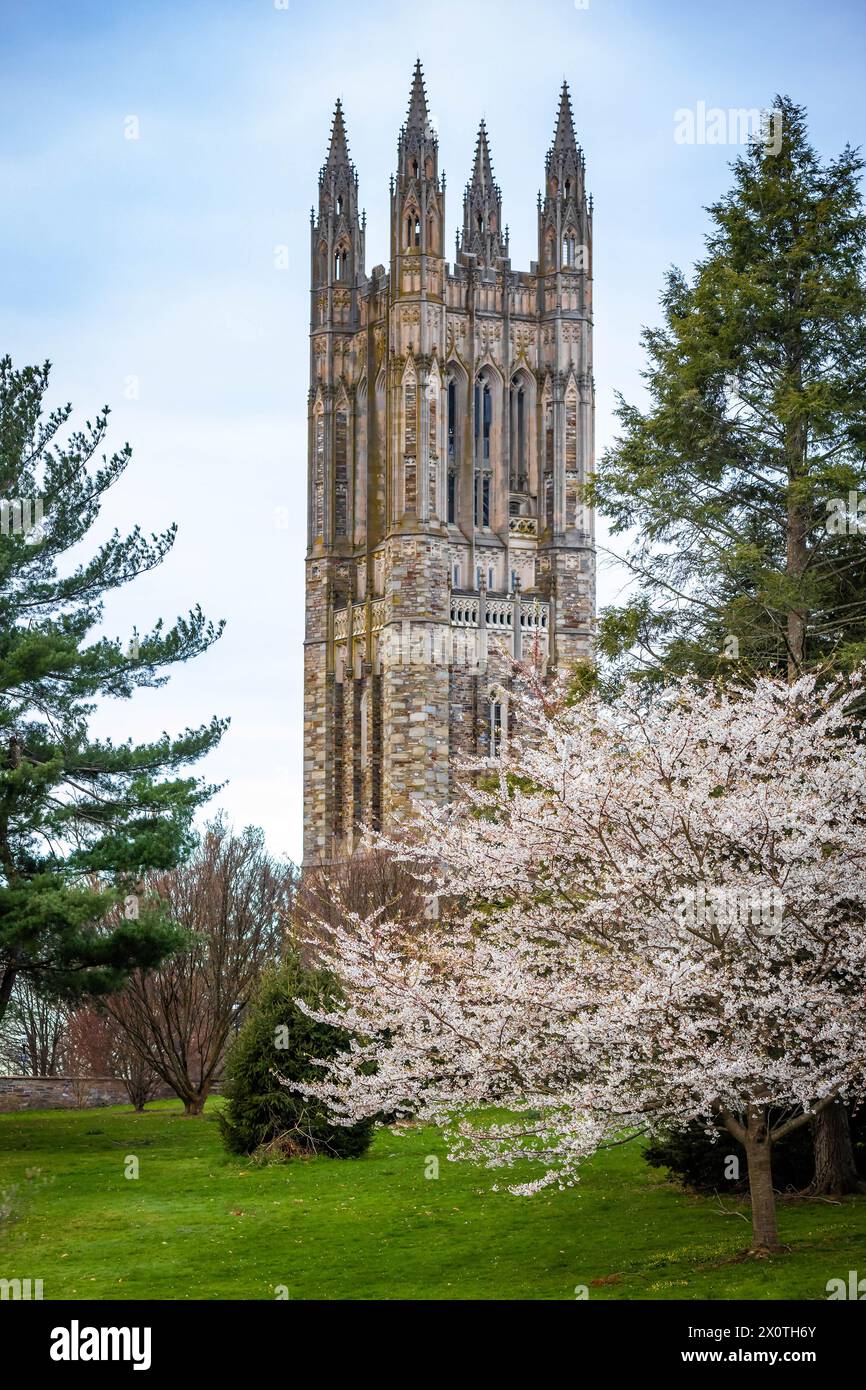 Ivy league college scenery hi-res stock photography and images - Alamy