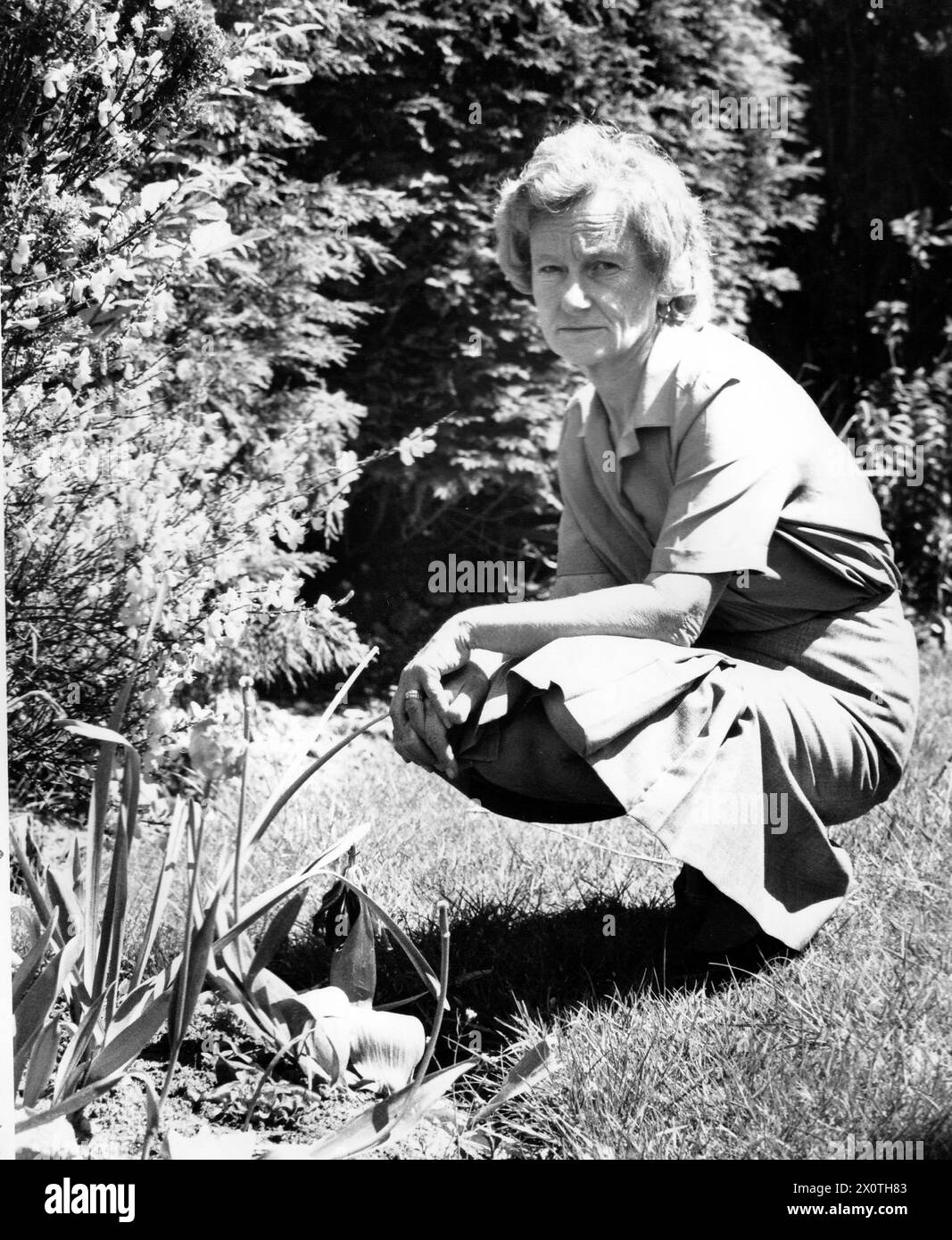 SUSAN ROLLS , WIFE OF TRAIN DRIVER JOHN ROLLS WHO WAS KILLED IN THE ...