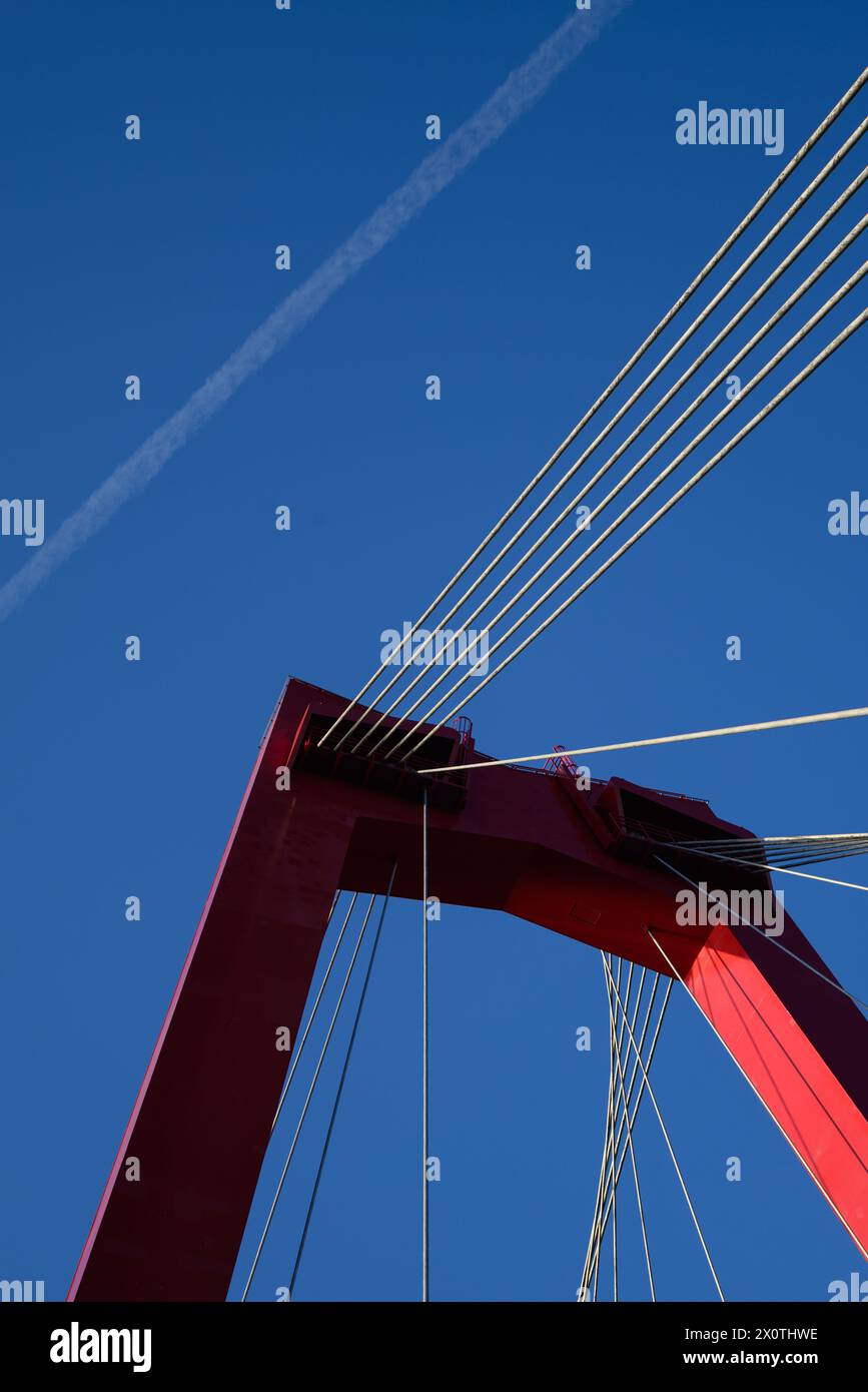 The cable Williams bridge stayed in the centre over the New Maas rive ...