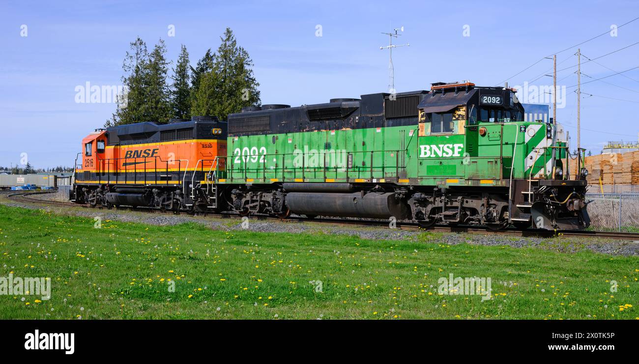 Mount Vernon, WA, USA - April 10, 2024; Pair of BNSF freight locomotives in contrasting grren ...