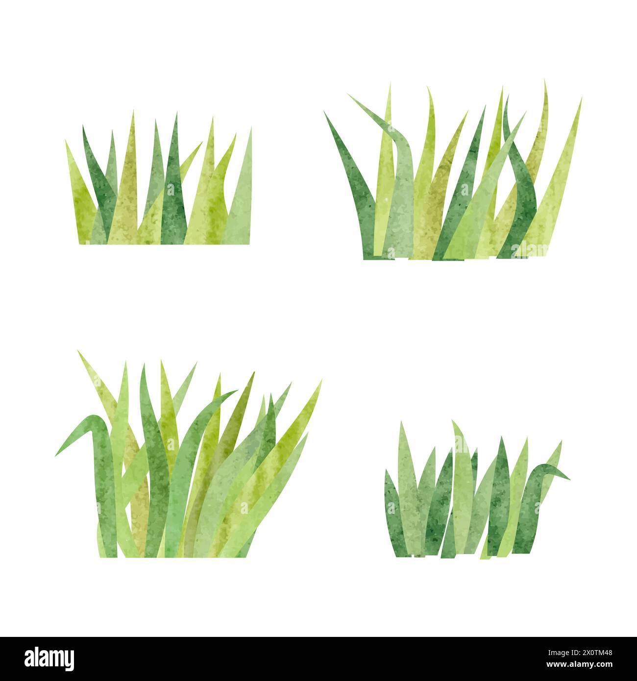 Set of watercolor grass. Simple cartoon green plants vector ...