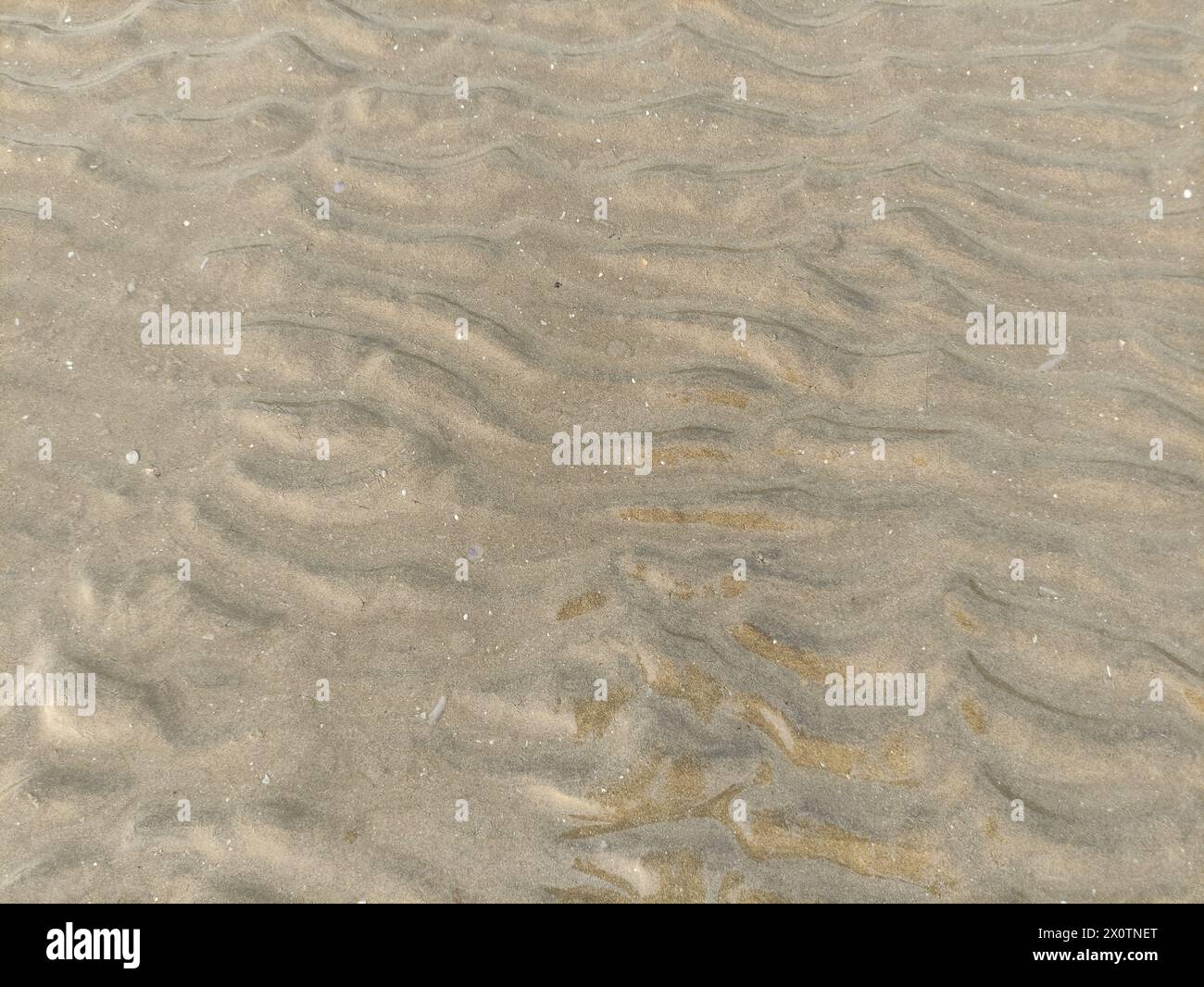 Brown sandy hi-res stock photography and images - Alamy