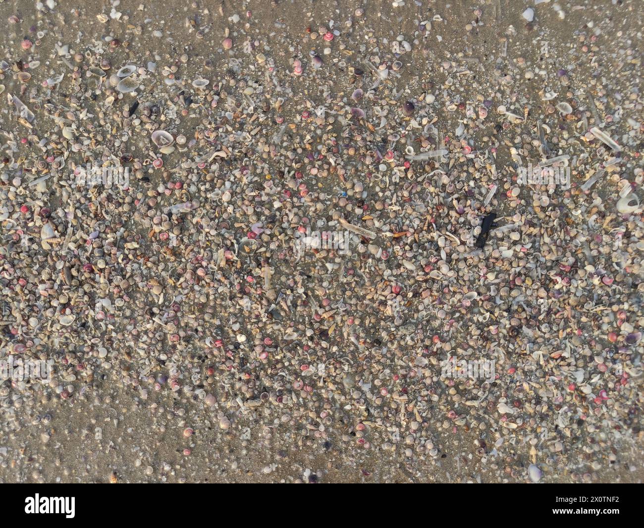 brown sandy soil texture on the beach Stock Photo - Alamy