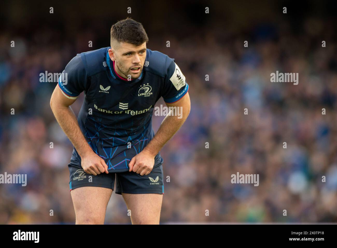 Harry byrne leinster hi-res stock photography and images - Alamy