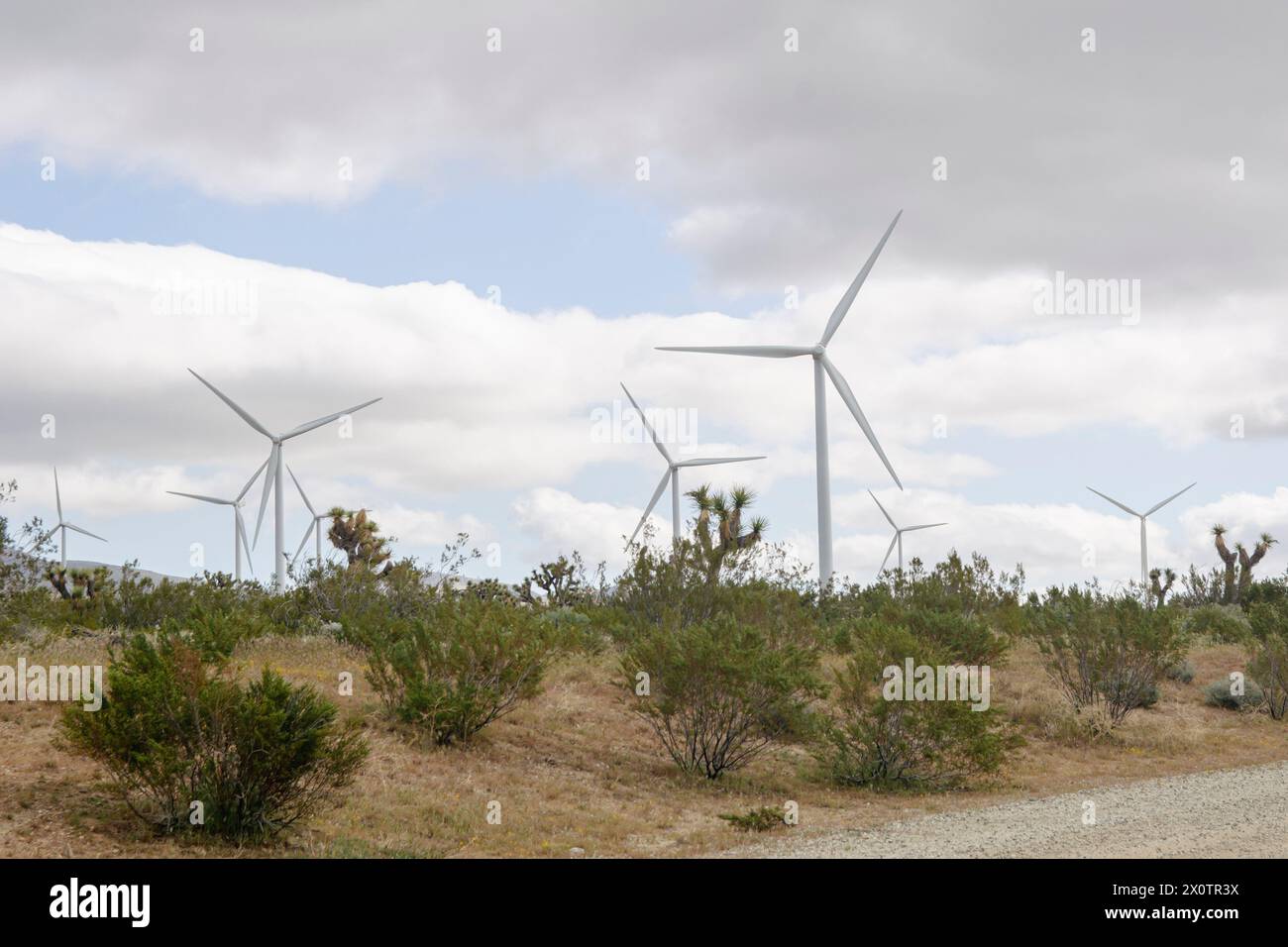 Wind turbines in the high Mojave desert of Kern County north-west of ...