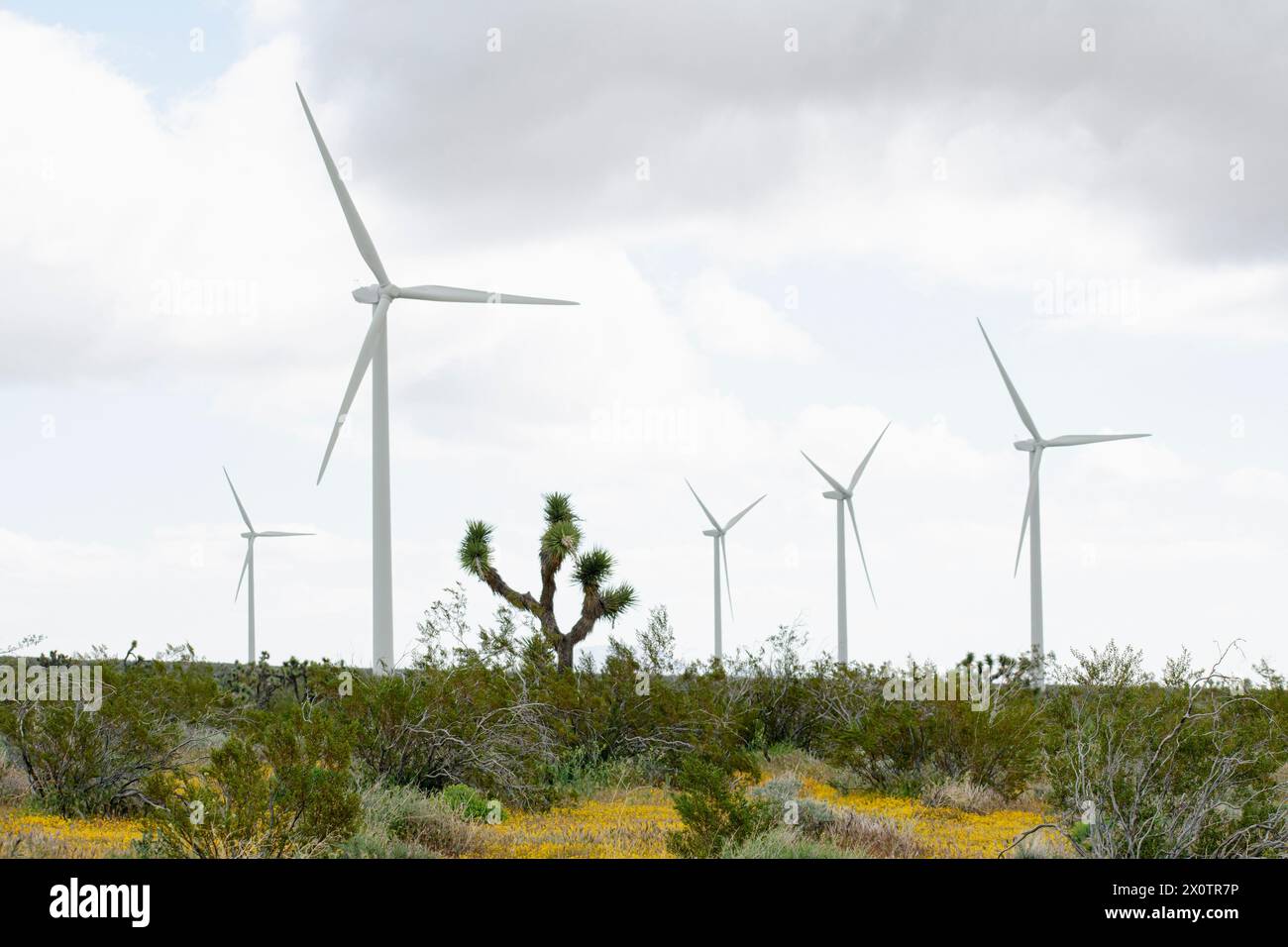 Wind turbines in the high Mojave desert of Kern County north-west of ...
