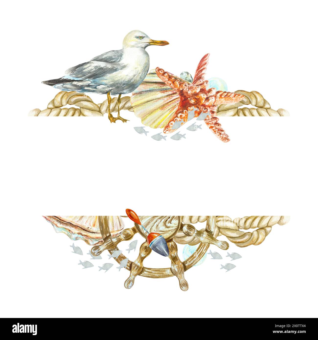 Template for text in a marine style. Shells, starfish, fish, seagull ...