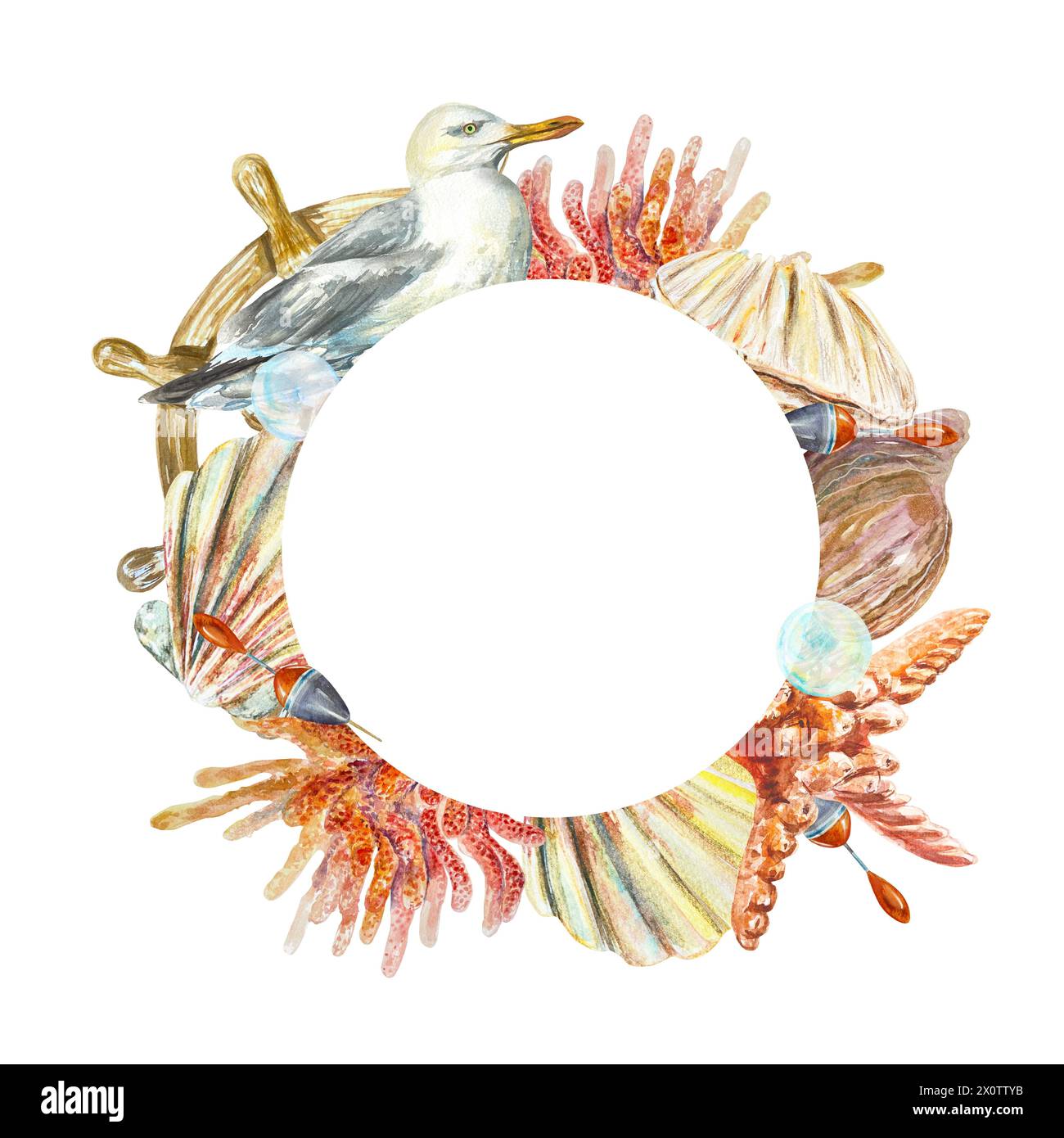 Marine frame, round. Seashells, seagull, starfish, coral isolated on ...
