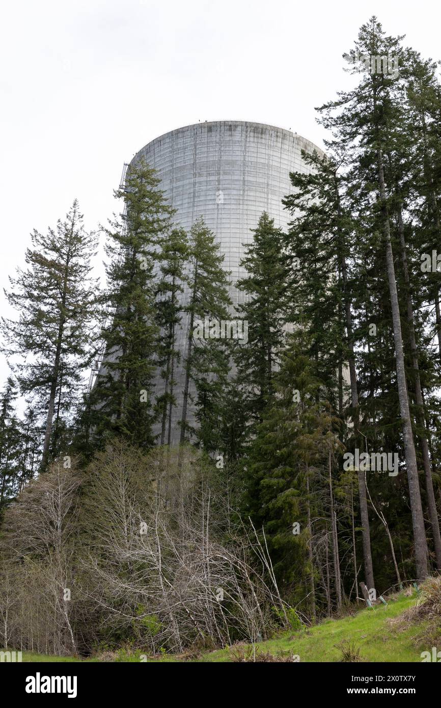 Cooling tower of the decommissioned Satsop Nuclear Power Plant looms over the Satsop Development ...