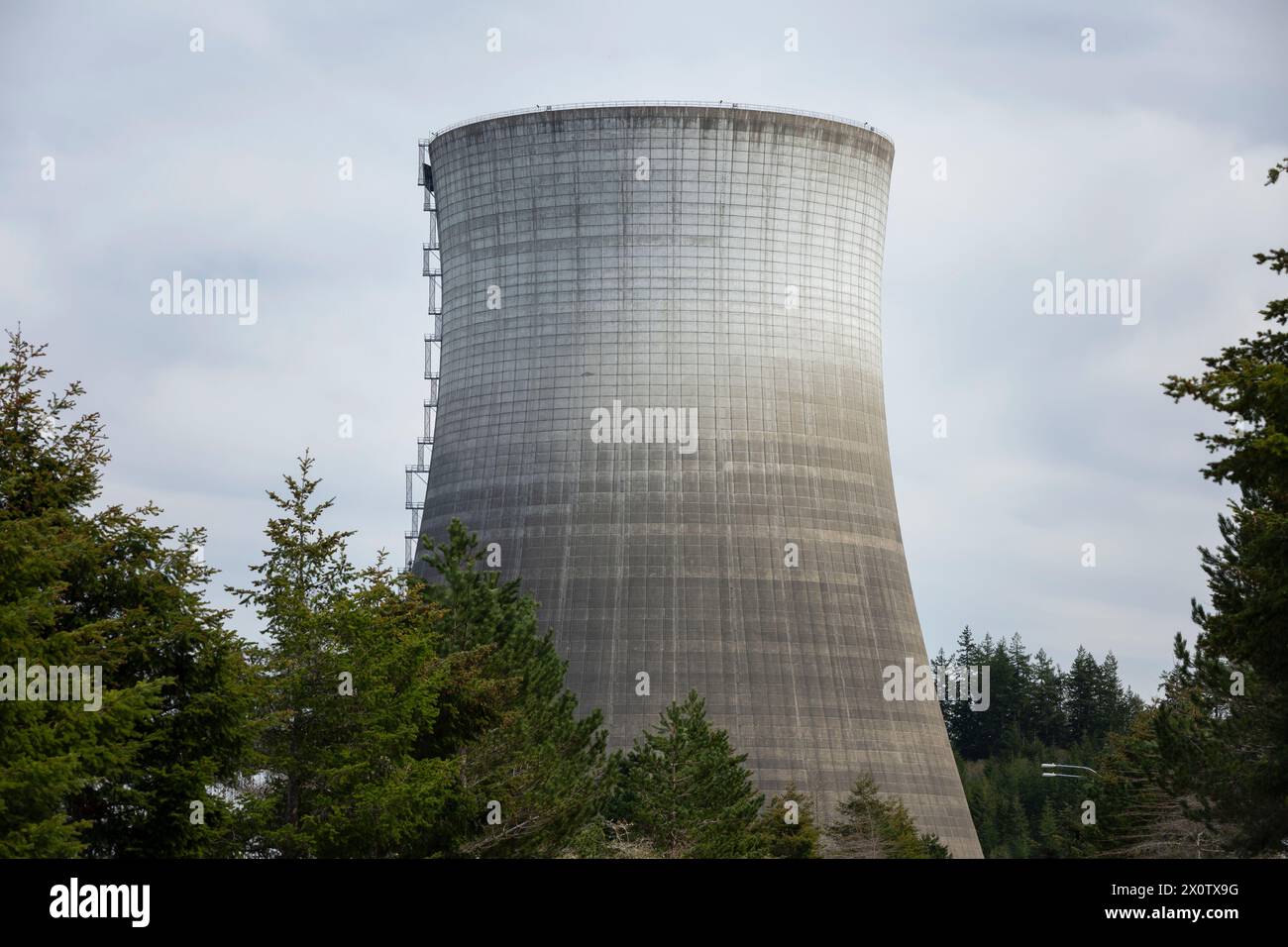 Cooling tower of the decommissioned Satsop Nuclear Power Plant looms ...