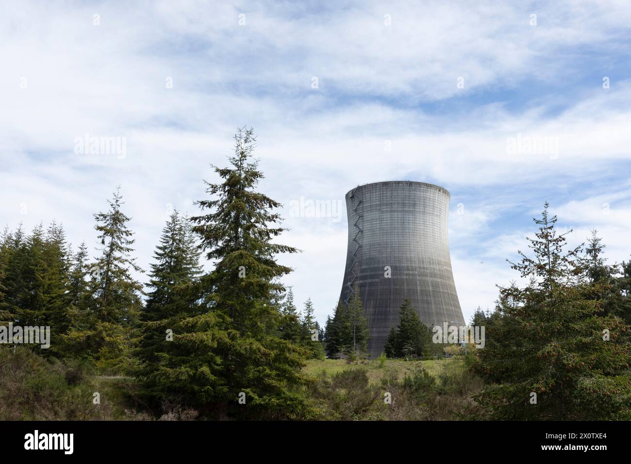 Cooling tower of the decommissioned Satsop Nuclear Power Plant looms ...