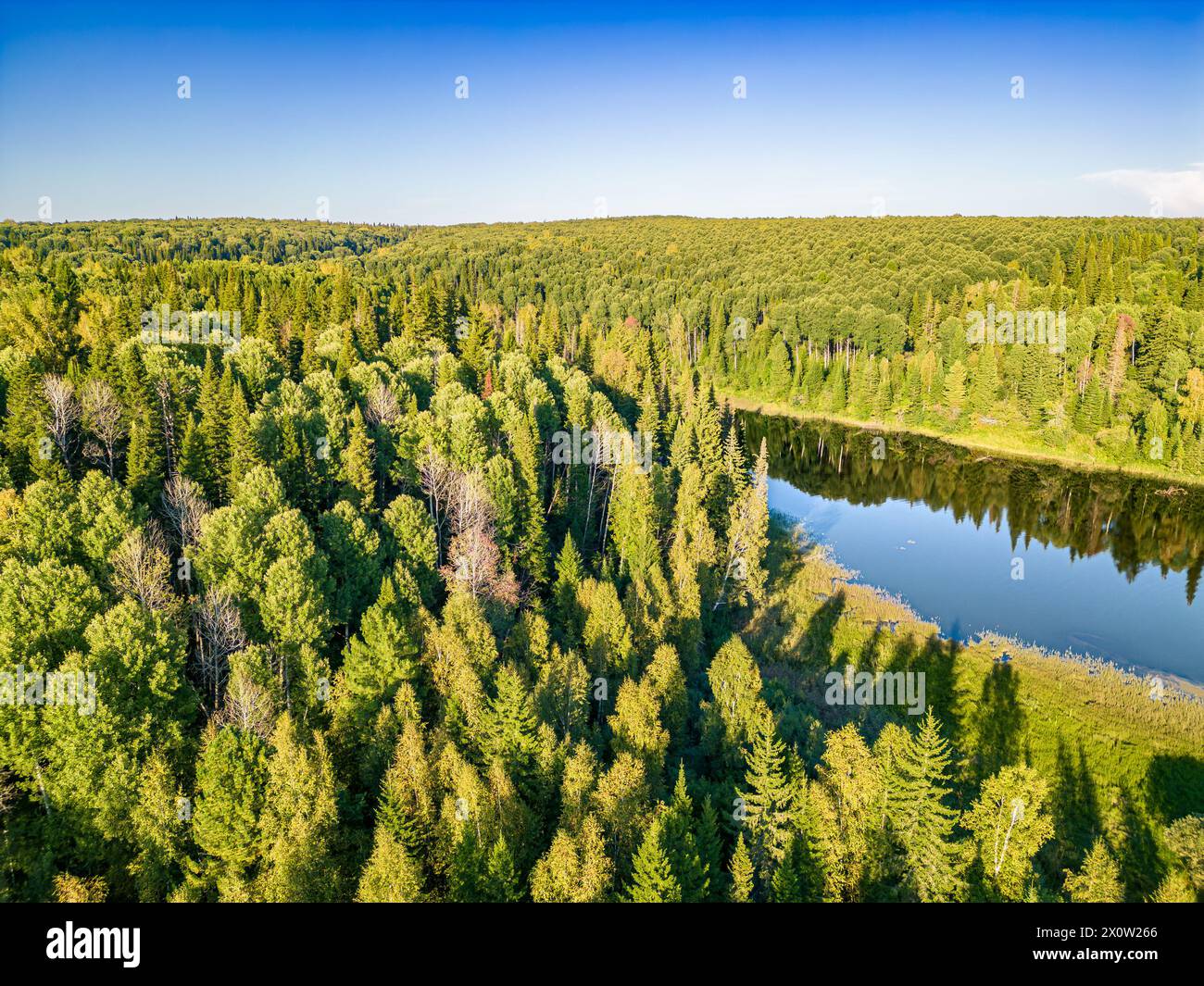 Wild lake among coniferous hi-res stock photography and images - Alamy