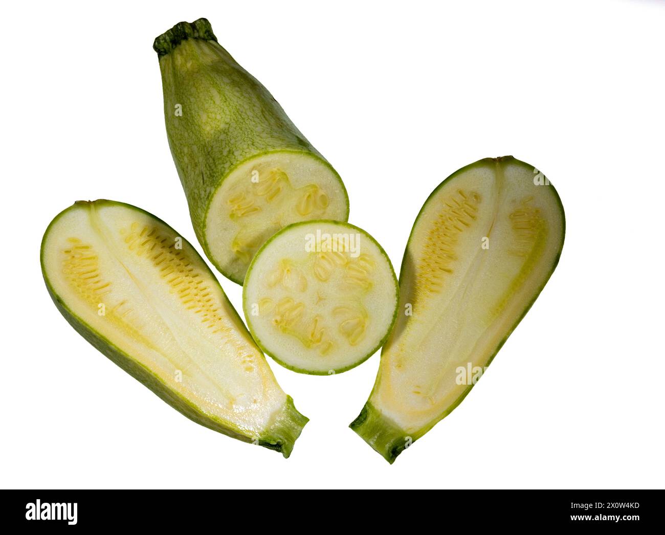 Speckled Zucchini Varieties