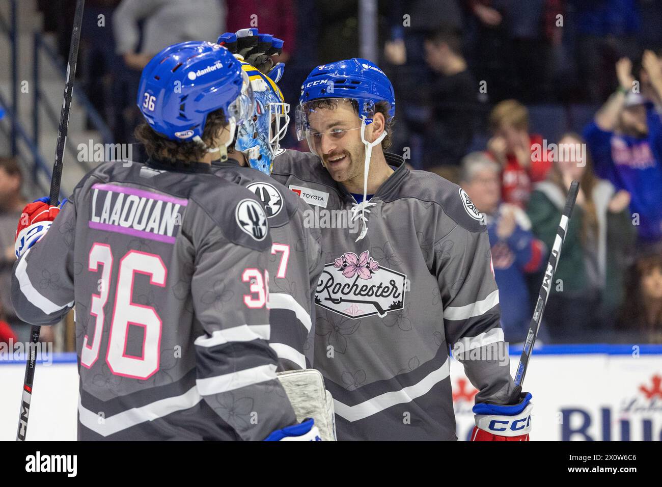April 13th, 2024: Rochester Americans defenseman Jeremy Davies (4 ...
