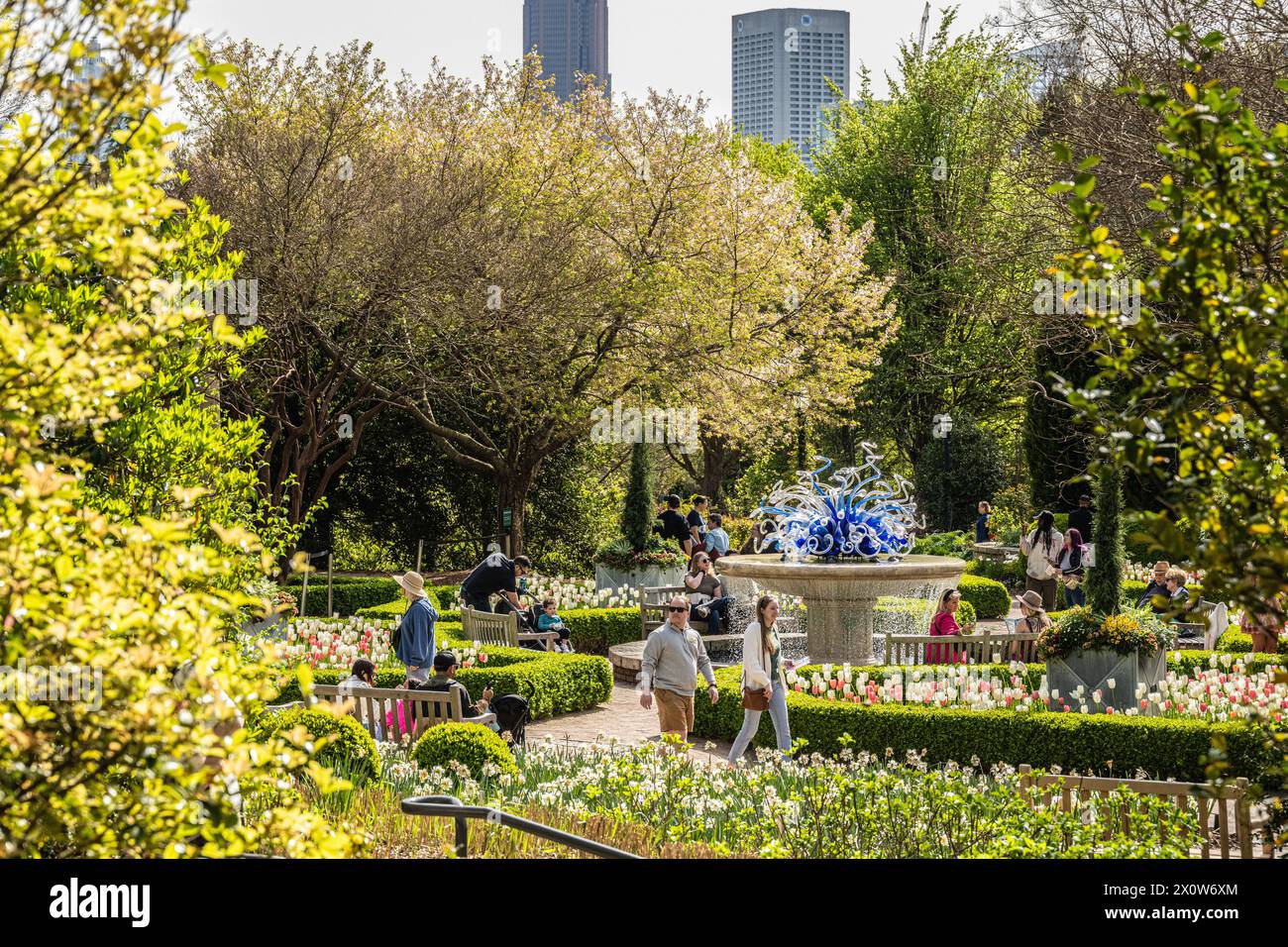 Overlooking the Levy Parterre formal garden with Chihuly glass ...