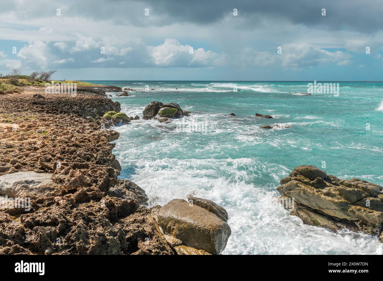 Baby Beach Aruba - infinity pool in foreground Stock Photo - Alamy